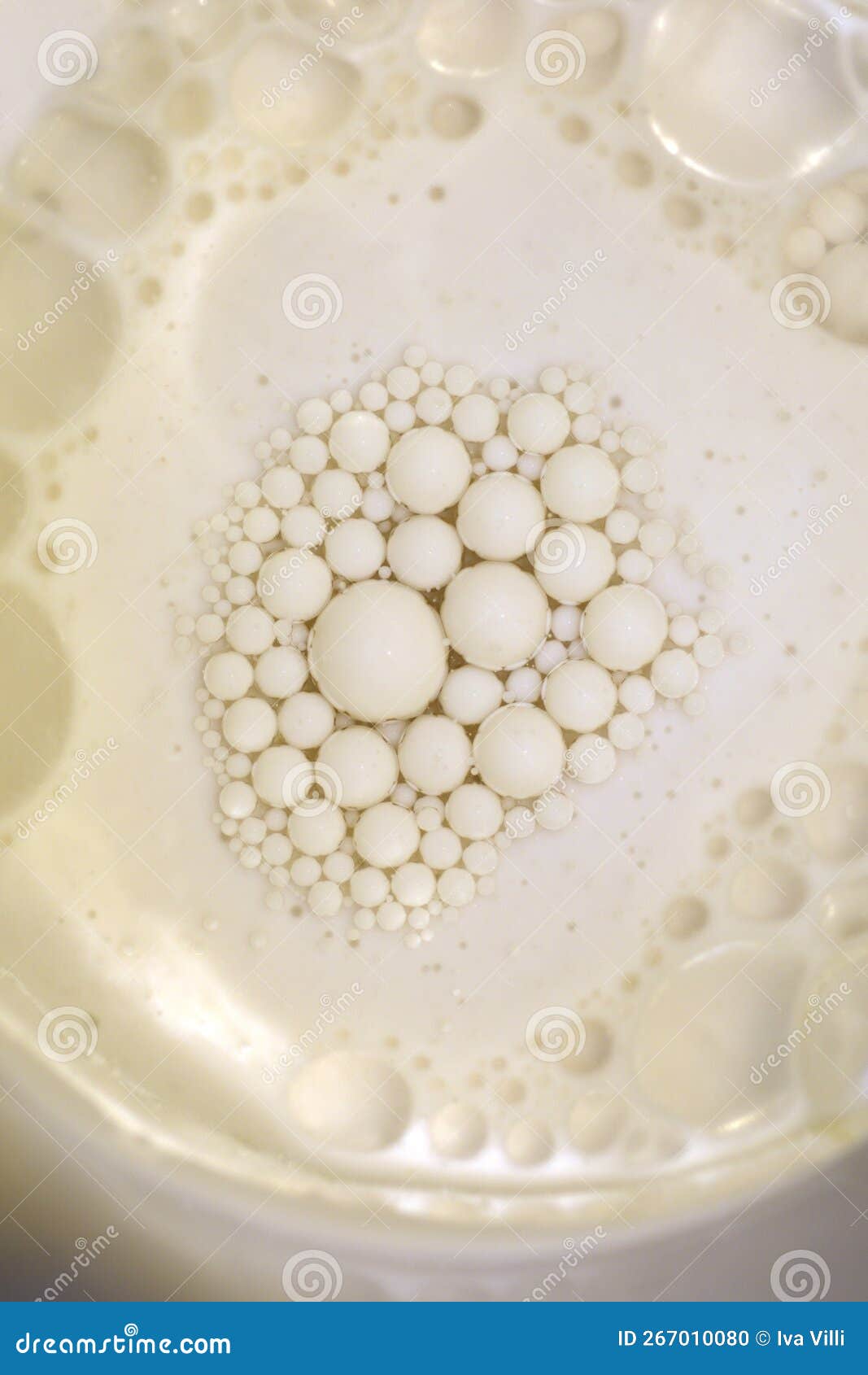 Soy milk and oil stock photo. Image of creamy, abstract - 267010080