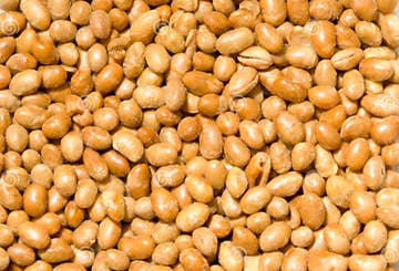 Soy Nuts stock image. Image of salted, snack, texture - 2182391