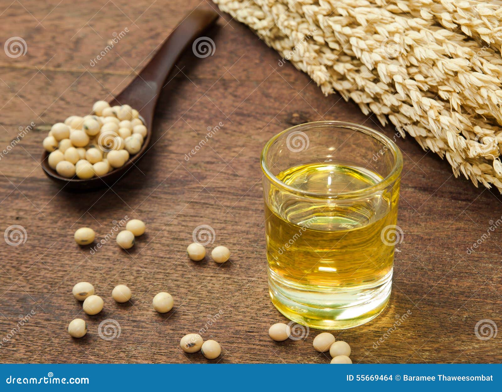 Soy oil and soy bean stock photo. Image of bottle, ingredient - 55669464