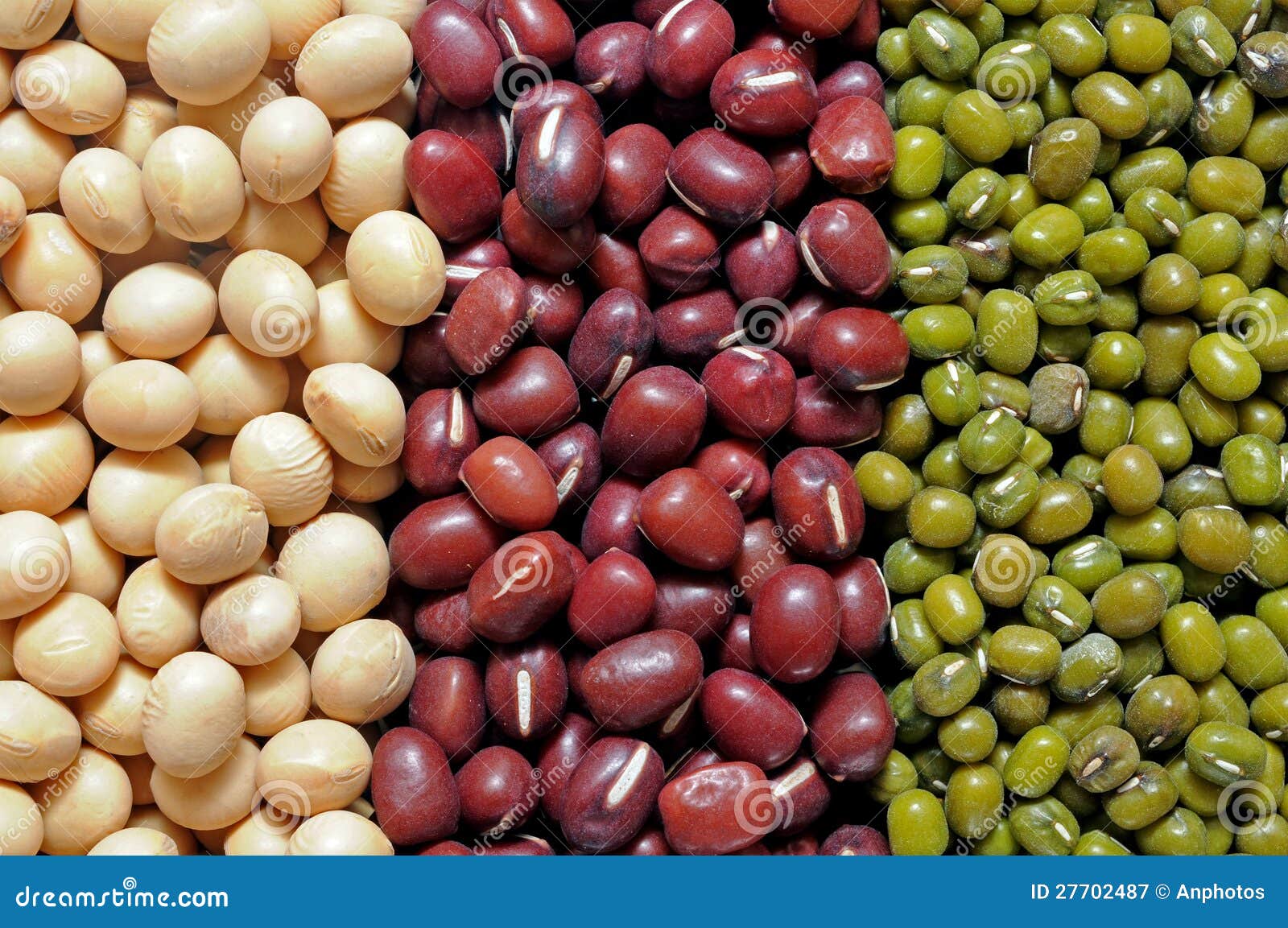 Soy, red, and mung bean stock image. Image of healthy - 27702487