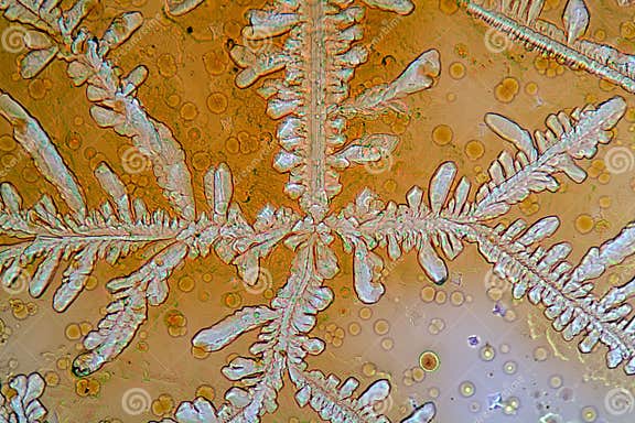 Soy Sauce Under the Microscope Stock Image - Image of asia, microscopic ...