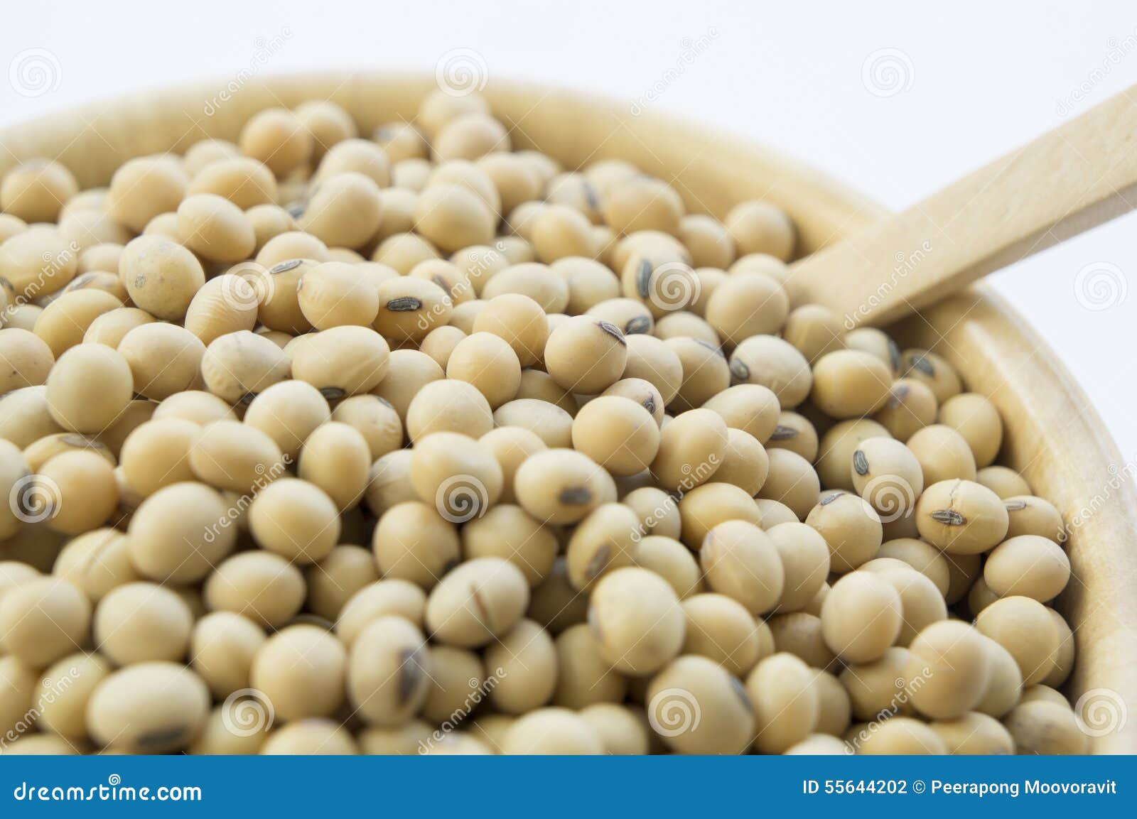 Soy Soybean Closeup Vegetable Nutrition Soya Concept Stock Photo ...
