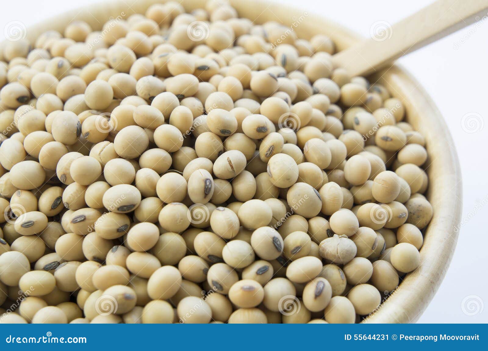Soy Soybean Closeup Vegetable Nutrition Soya Concept Stock Image ...