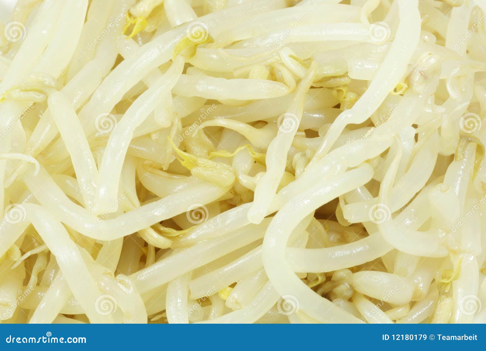 Soy sprouts stock image. Image of sprouts, soya, vegetarian - 12180179