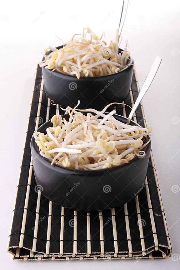 Soya bean sprout stock photo. Image of soyabean, soya - 19674866