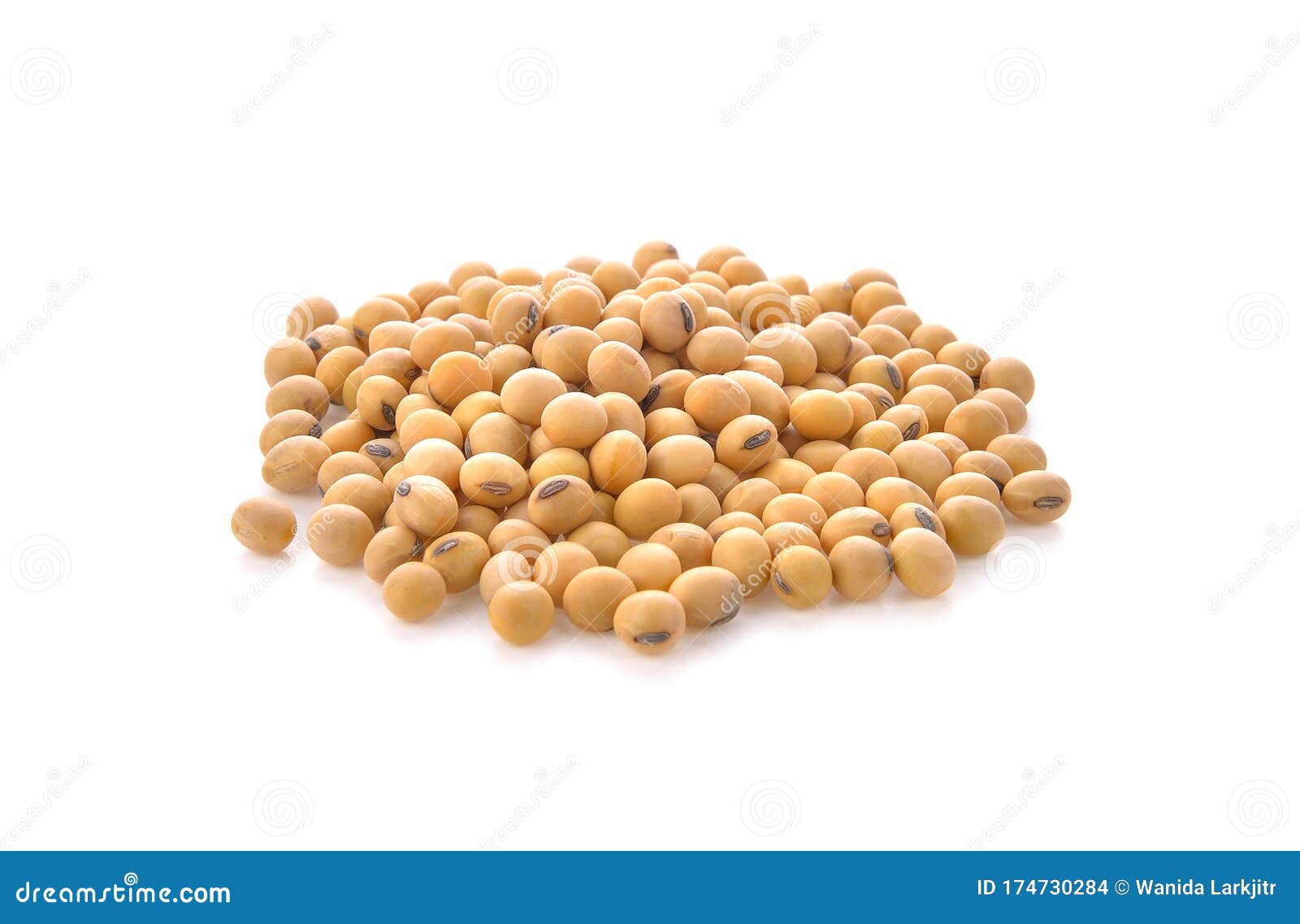 Soya Bean on White Background Stock Photo - Image of white, natural ...