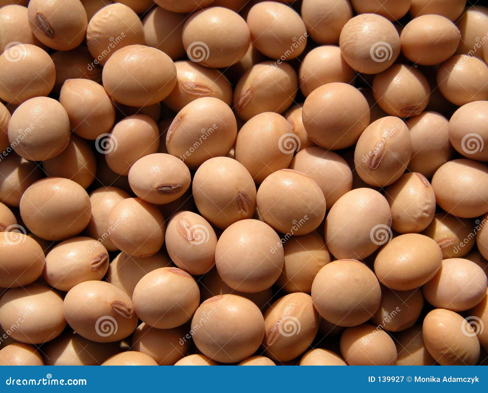 Soya-beans Royalty Free Stock Photography - Image: 139927