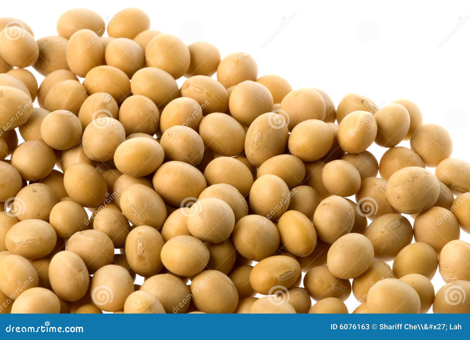 Soya Beans Isolated stock image. Image of nature, organic - 6076163
