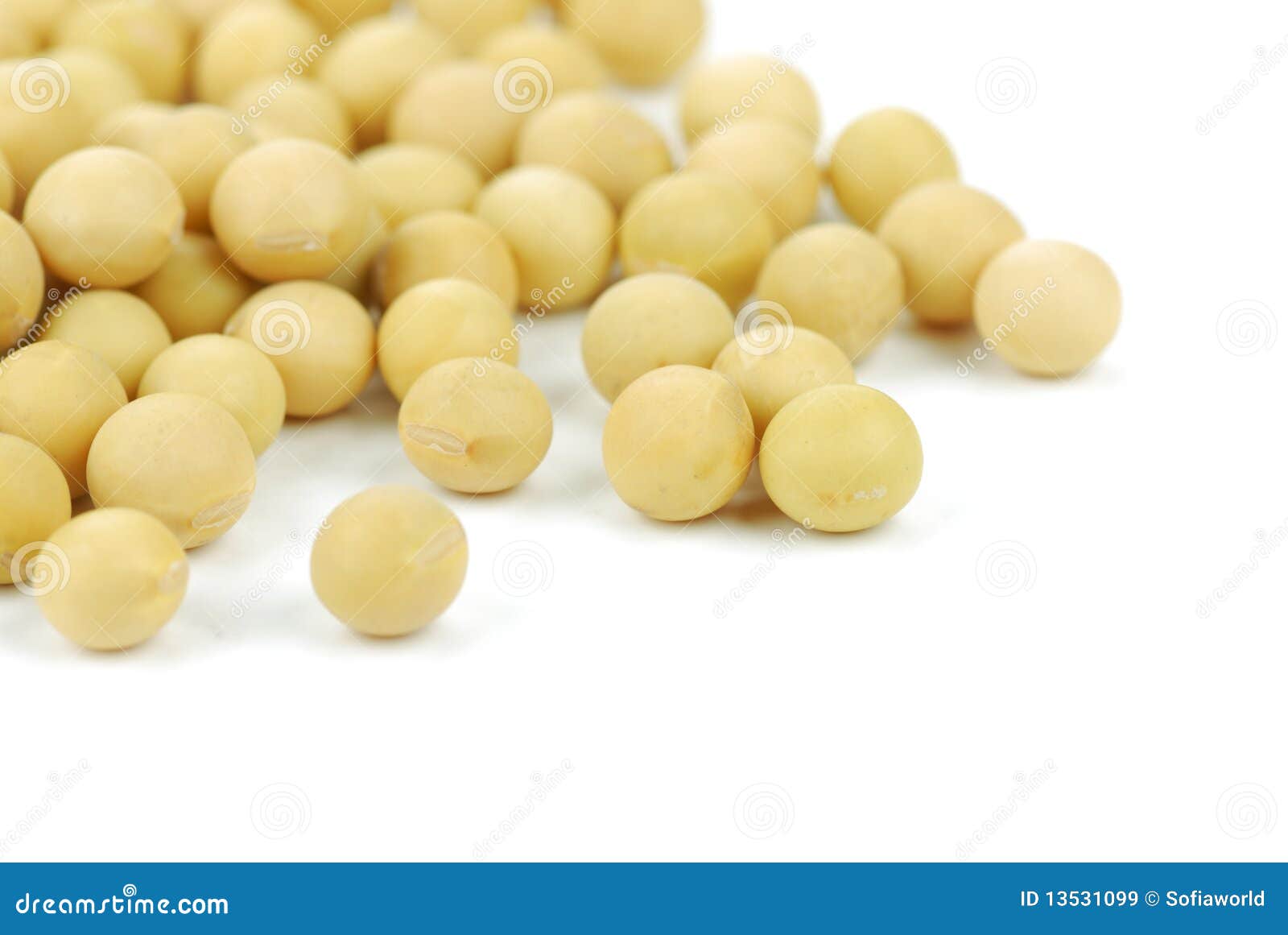 Soyabohnen stockbild. Bild von bestandteil, protein, getrennt - 13531099