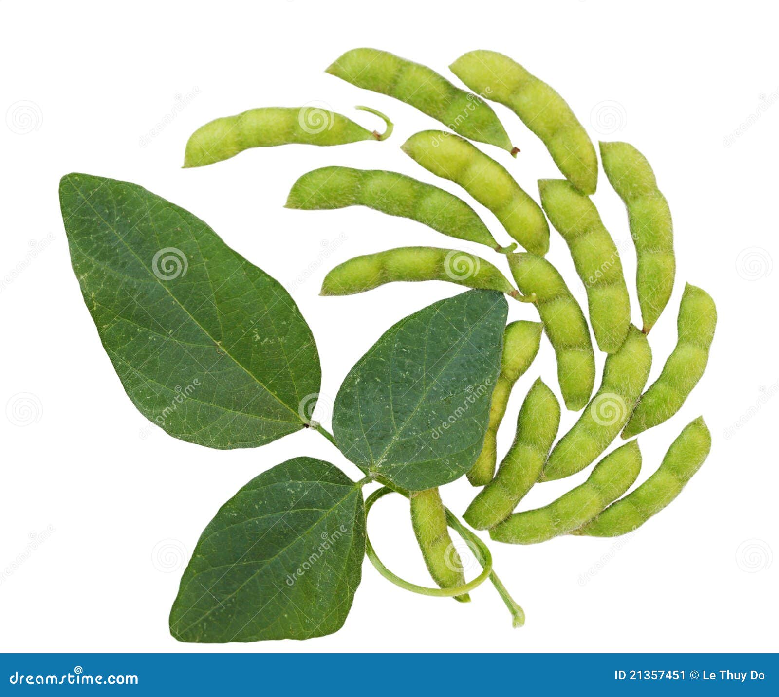 Soybean stock image. Image of cuisine, background, nutrition - 21357451