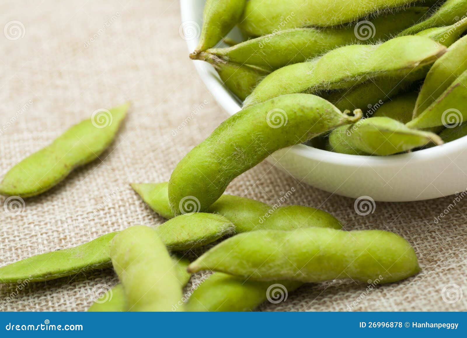 Soybean stock photo. Image of nature, organic, diet, agriculture - 26996878