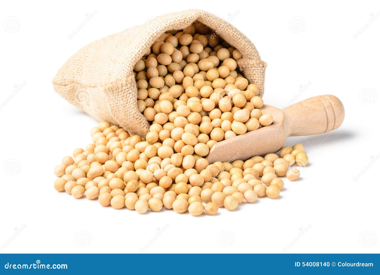 Soybean stock photo. Image of food, yellow, grain, seed - 54008140