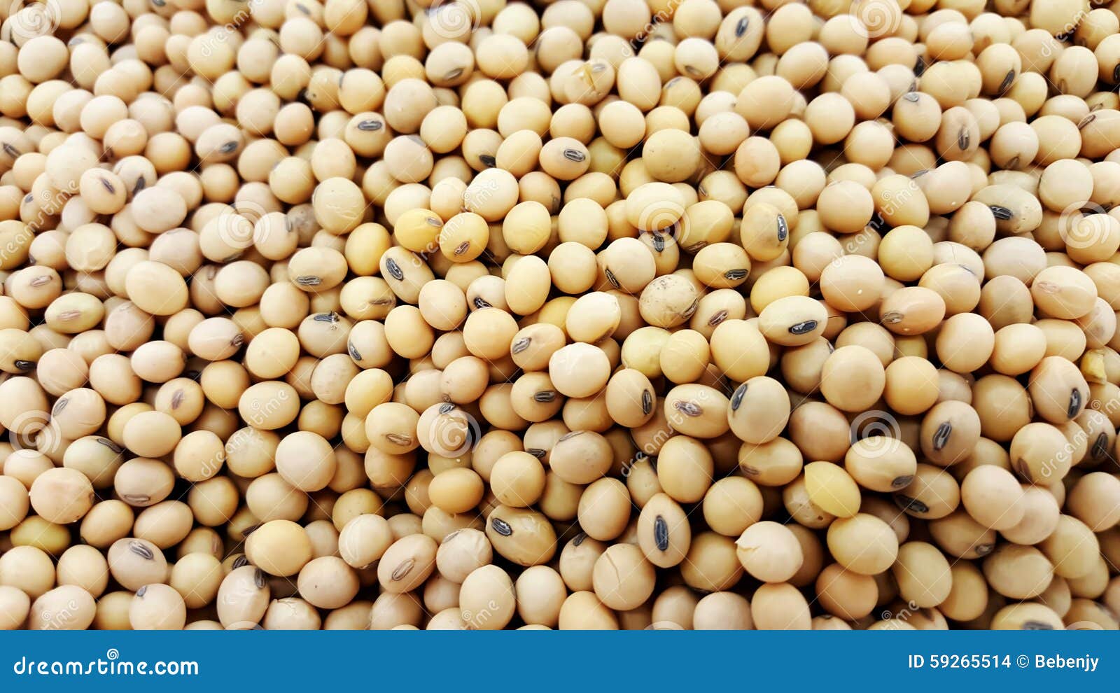Soybean Background stock photo. Image of boiled, isolated - 59265514