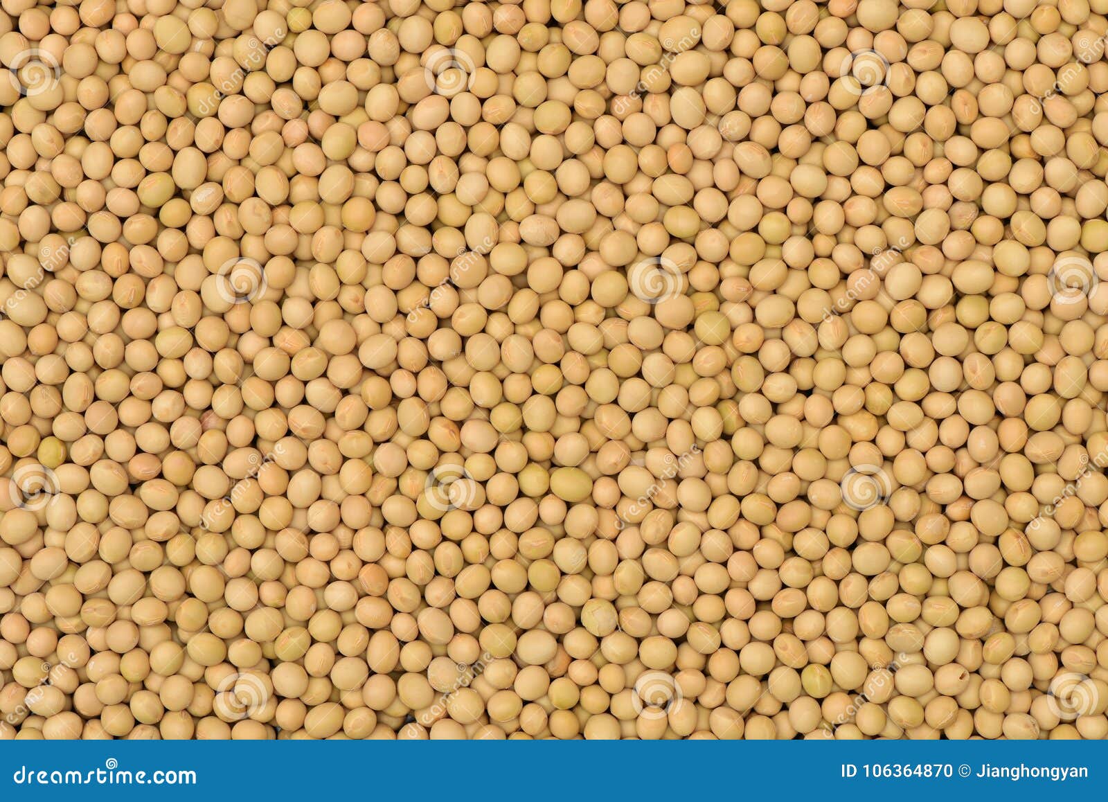 Soybean Background stock photo. Image of eating, legume - 106364870