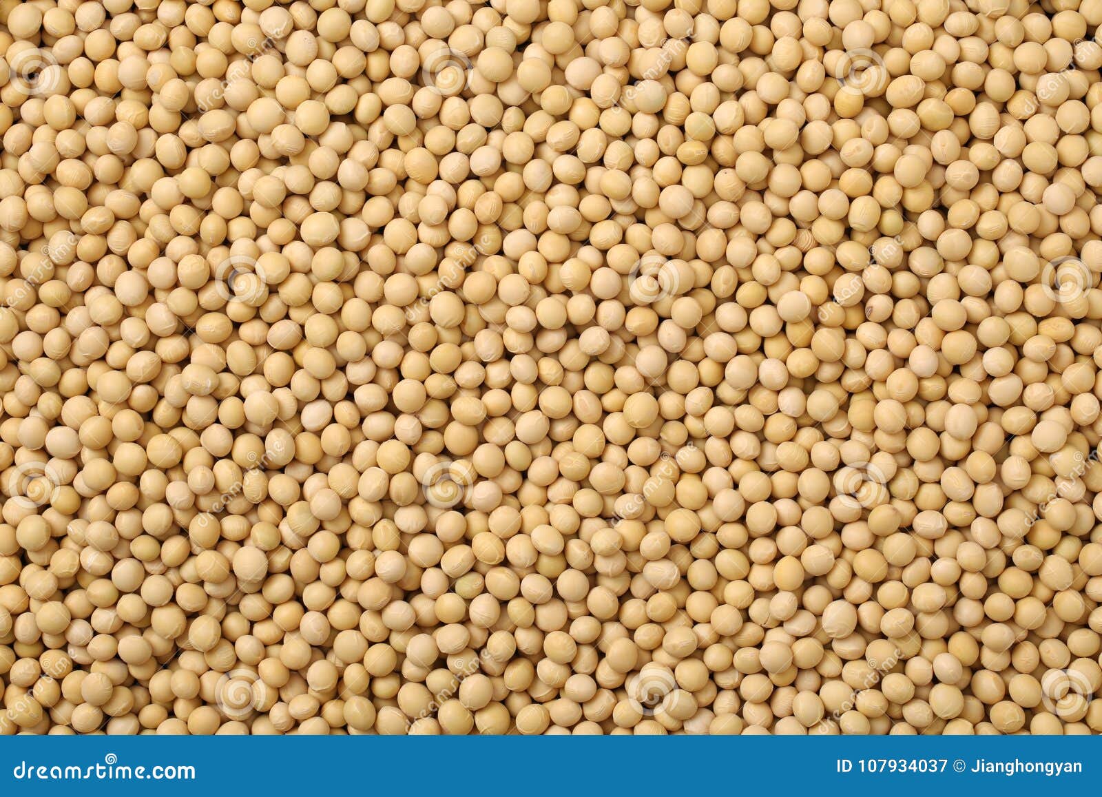 Soybean Background stock image. Image of natural, choice - 107934037