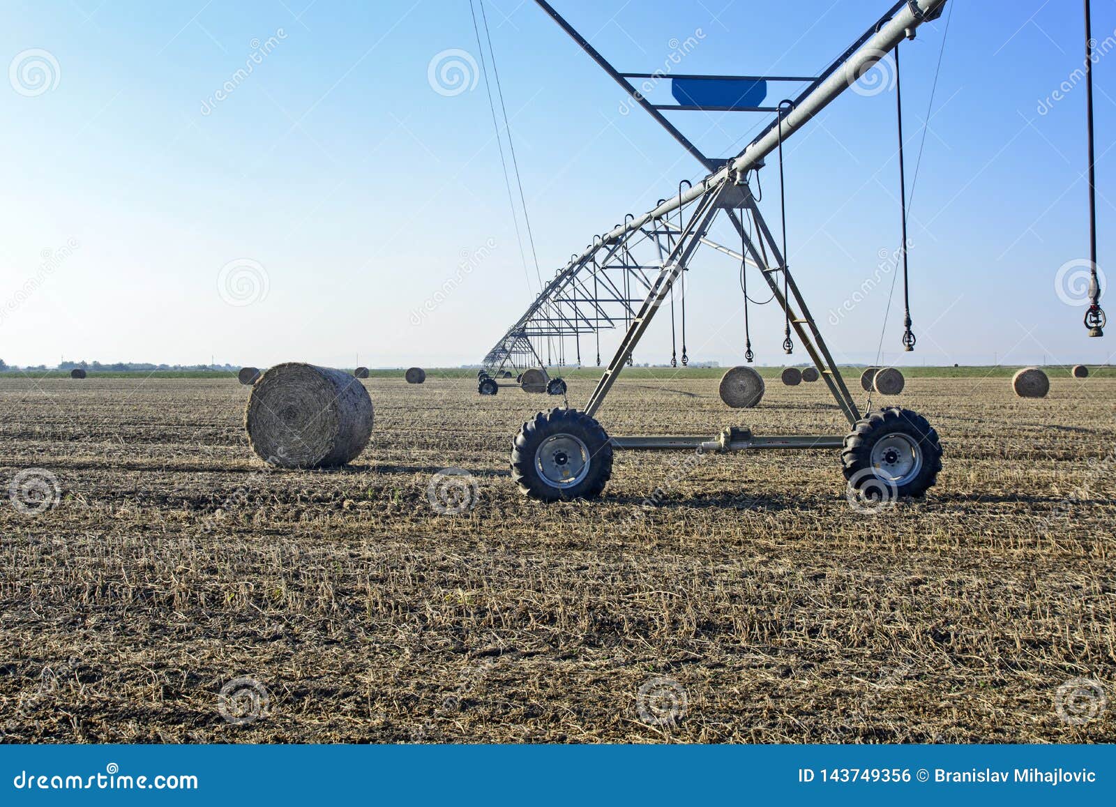 Soybean Field after Harvest Stock Photo - Image of crop, autumn: 143749356