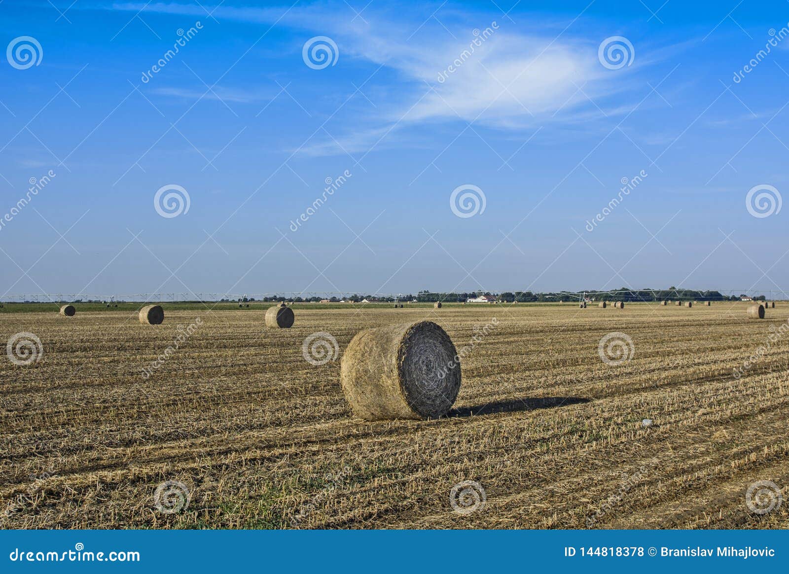 Soybean Field after Harvest Stock Photo - Image of land, outdoors ...