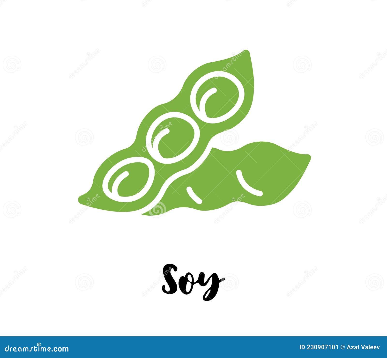 Soybean Flat Drawing. Soy Bean Vector. Soya Isolated Illustration Stock ...