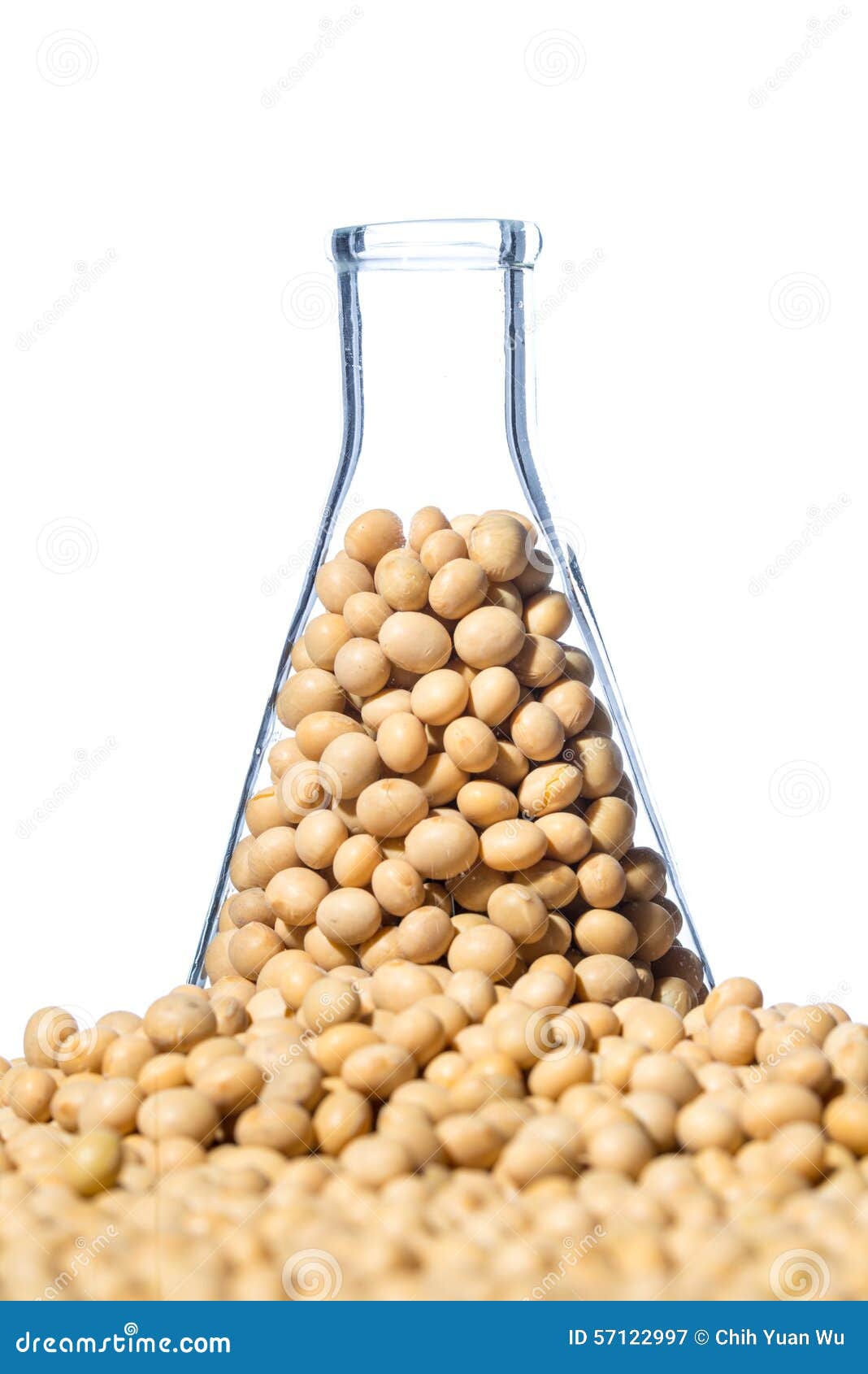 Soybean Genetically Modified, Plant Cell Stock Image - Image of ...
