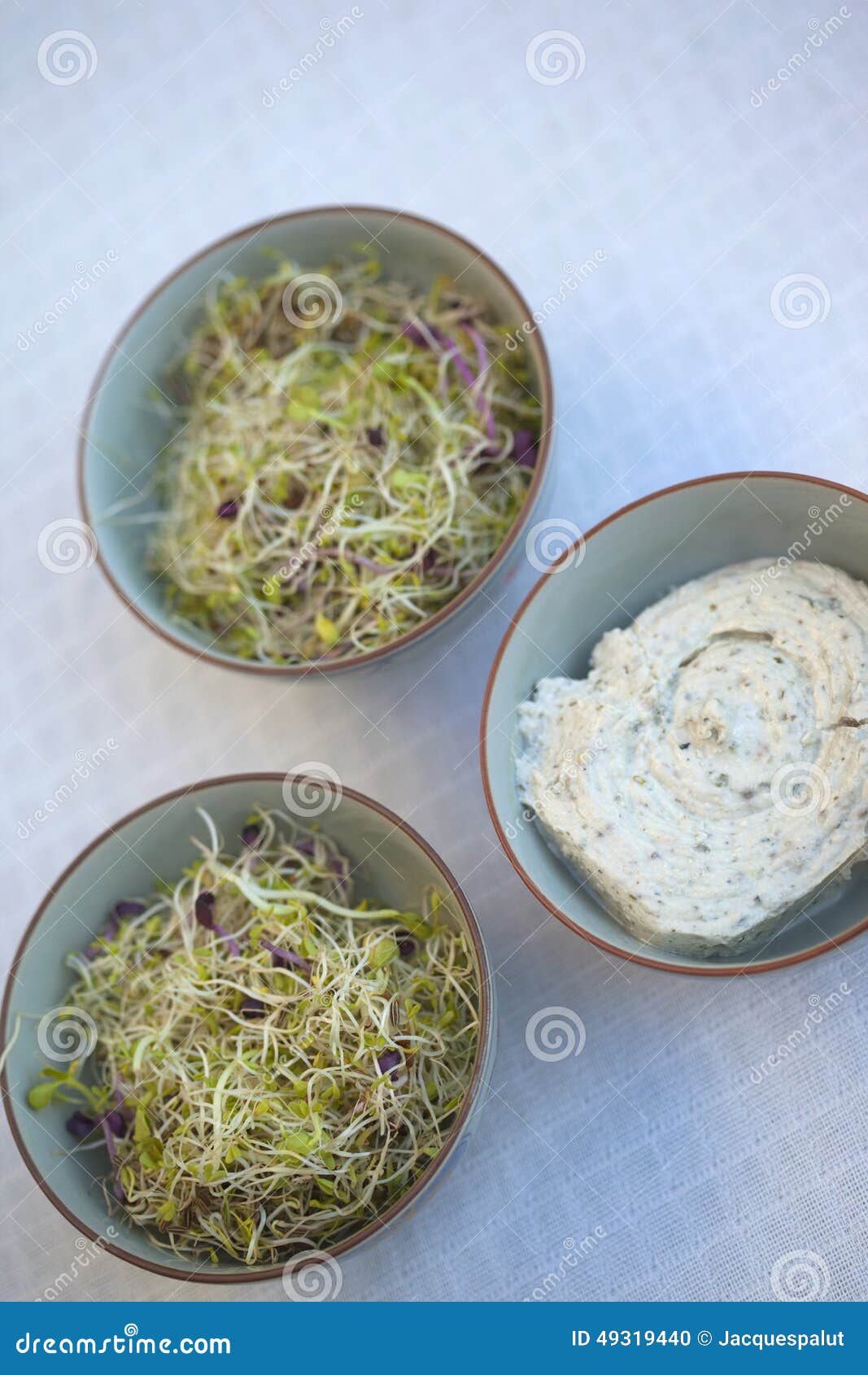 Soybean germ and cream stock photo. Image of spicy, asia - 49319440