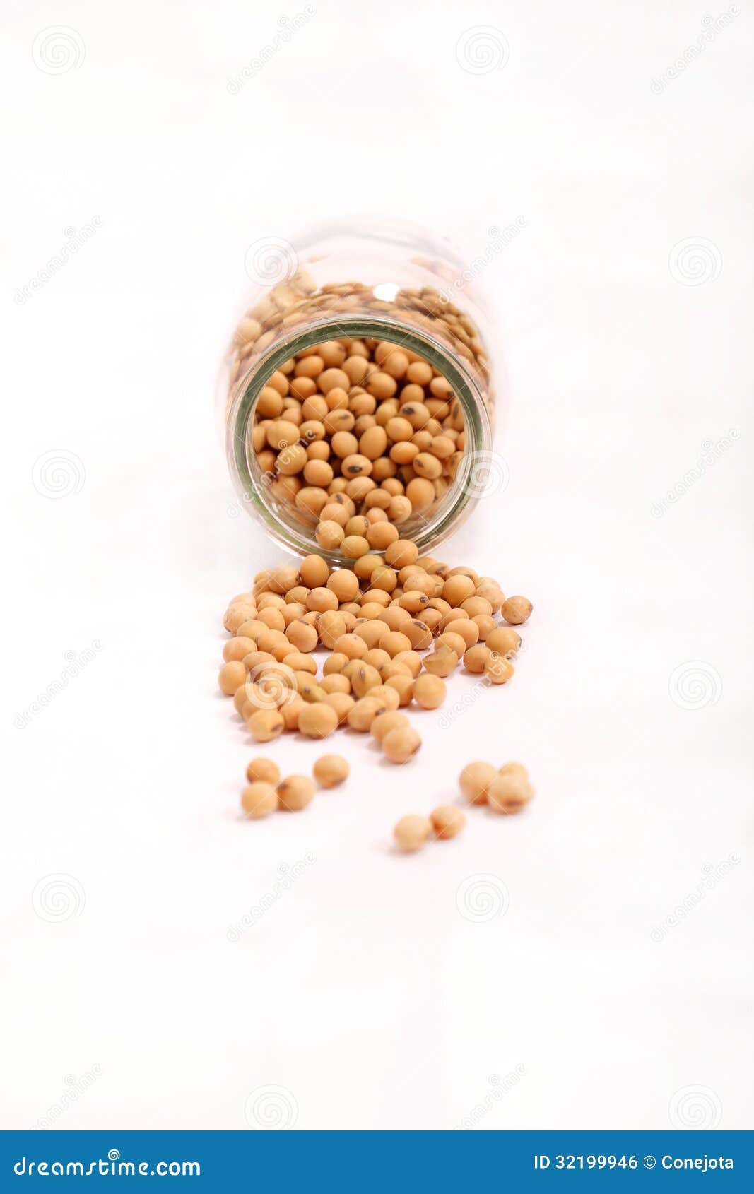 Soybean stock photo. Image of fiber, produce, health - 32199946
