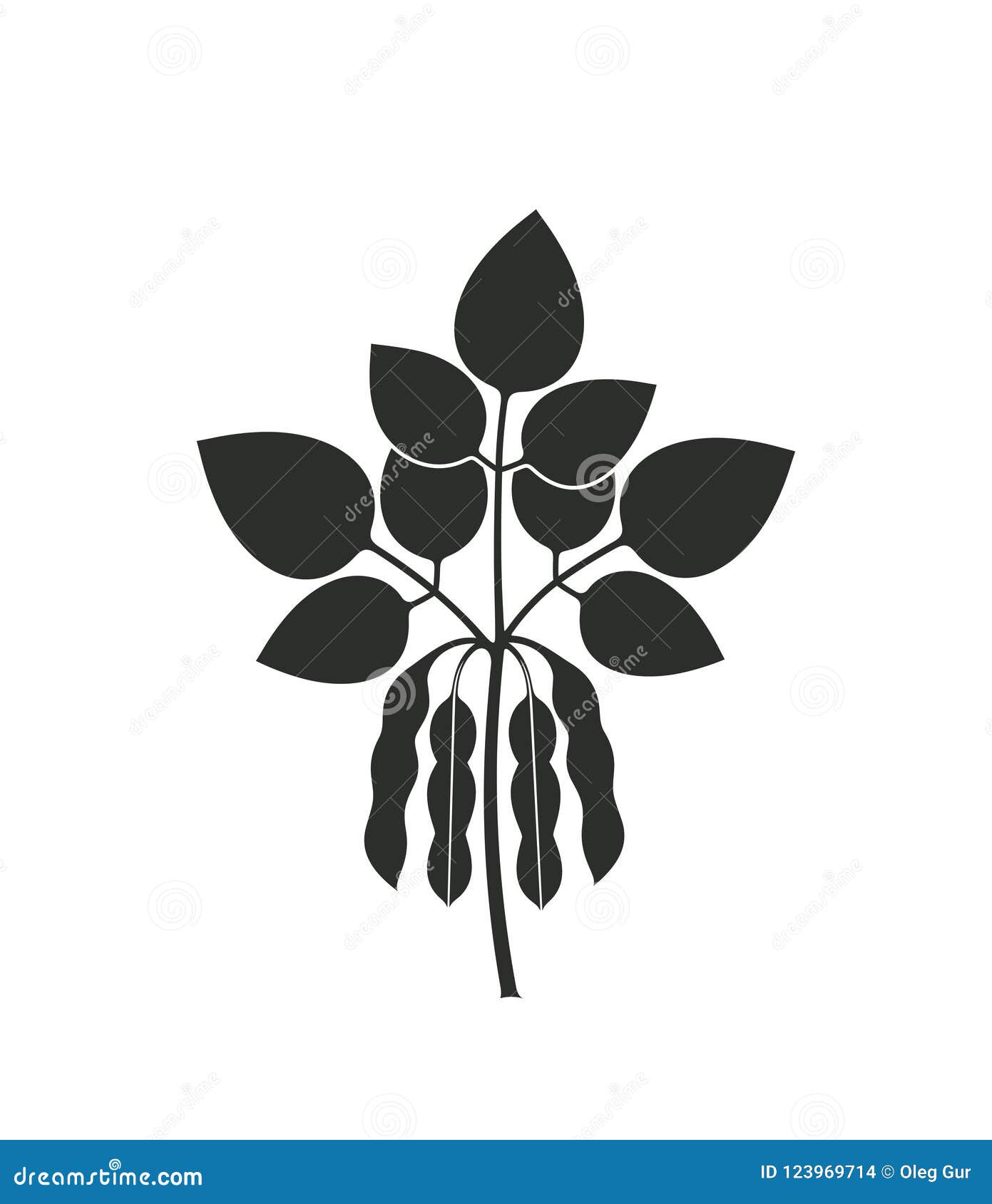 Soybean Plant Isolated Soybean On White Background Stock Vector Illustration Of Agriculture