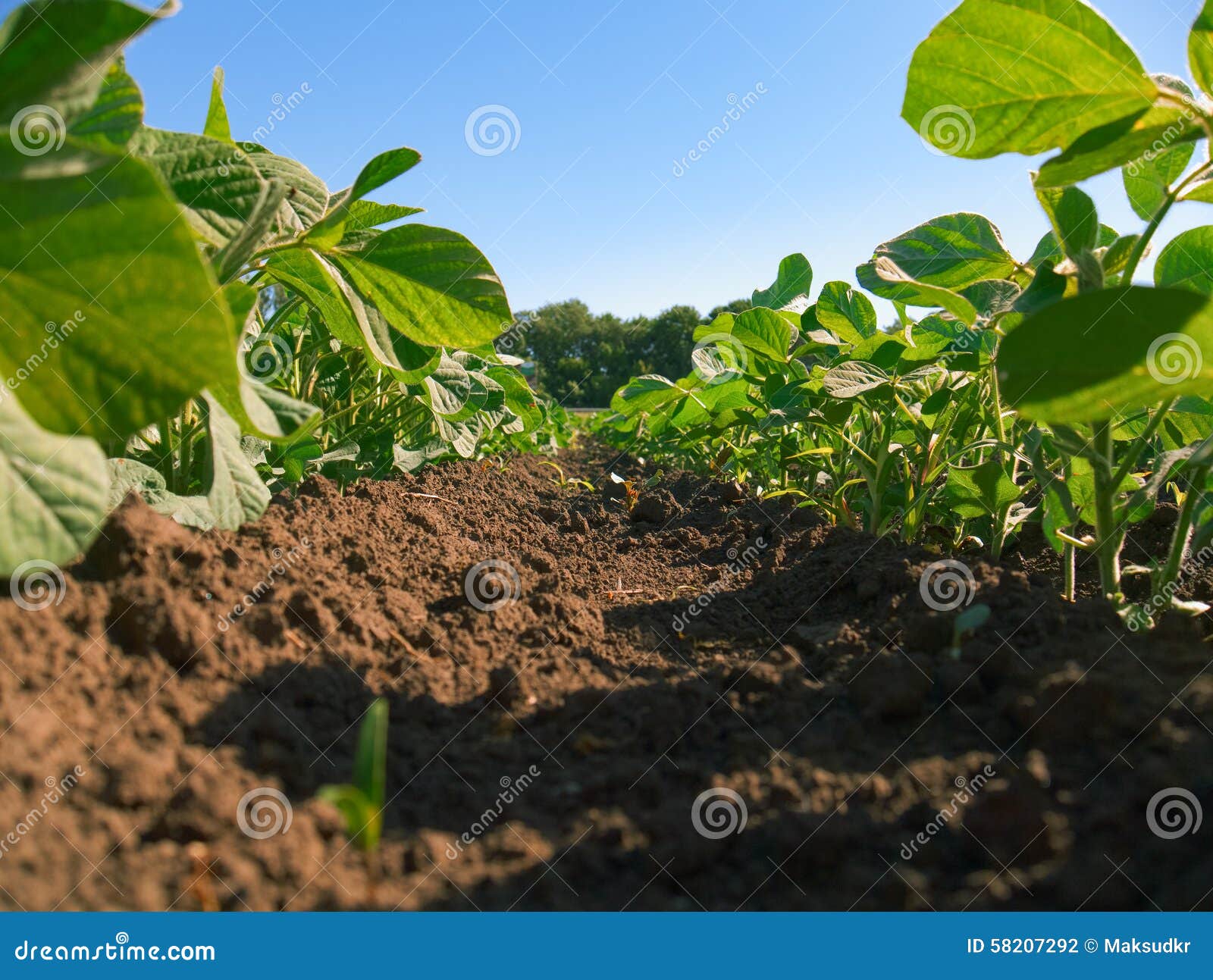 Worms Eye View Perspective Of Symmetrical Tower Structure On Top Roof ...