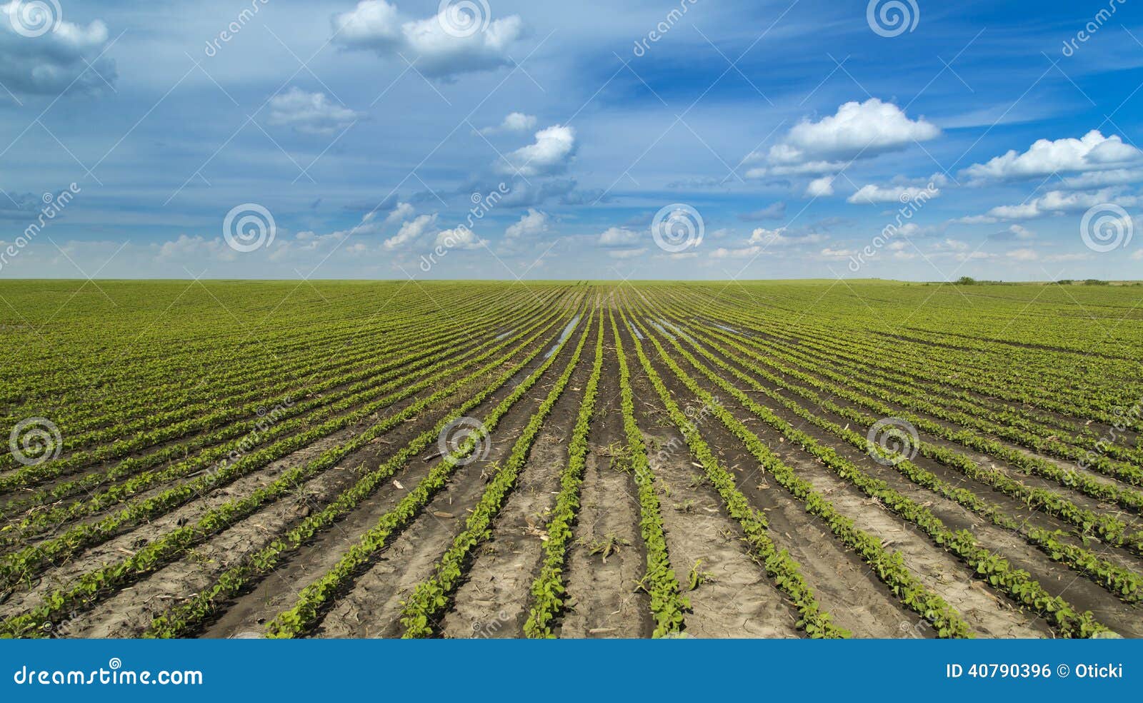 127,964 Ranch Field Stock Photos - Free & Royalty-Free Stock Photos ...