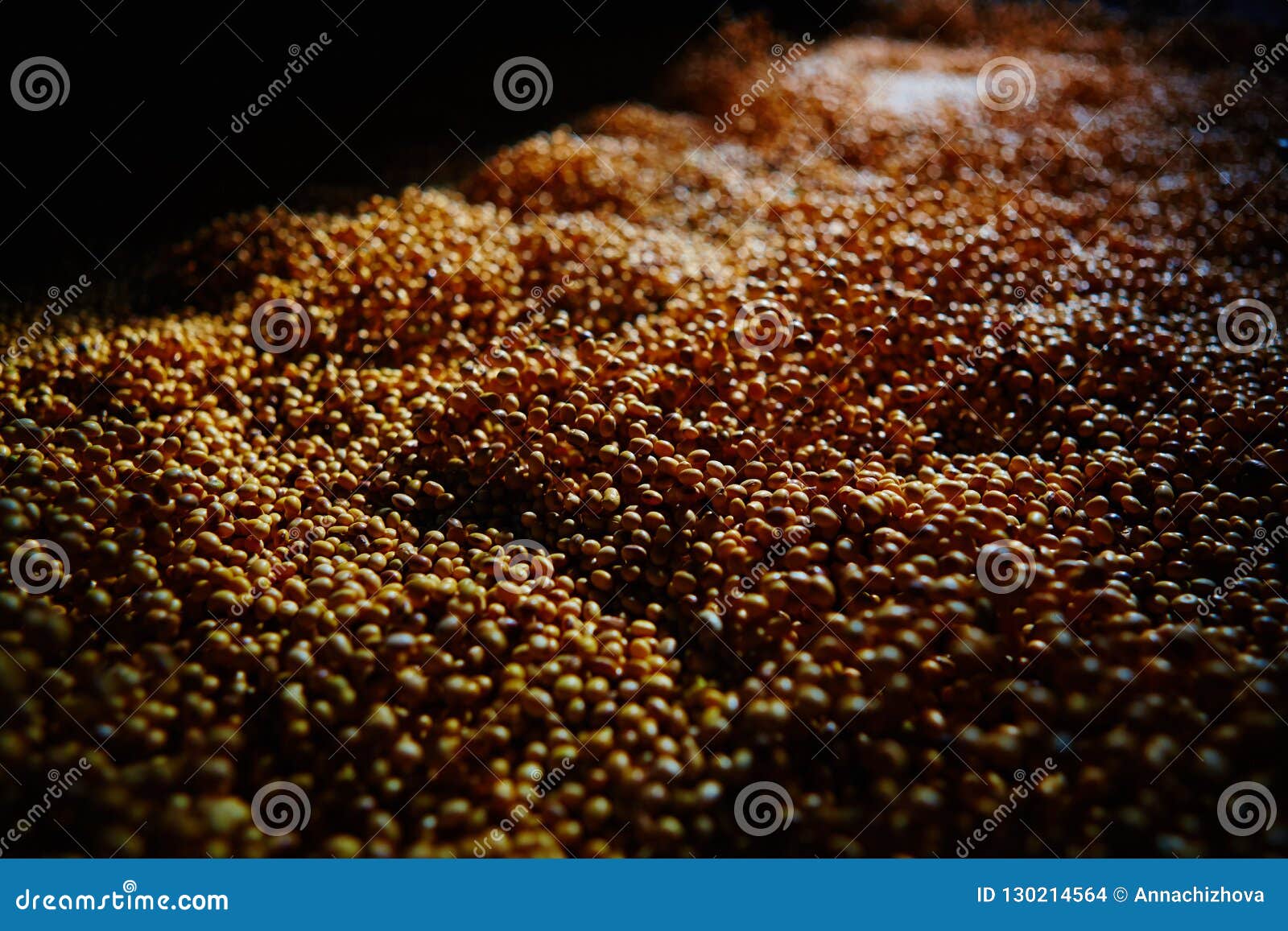 Soy Bean Seed before Crack. Shallow Dof. Stock Photo - Image of meal ...