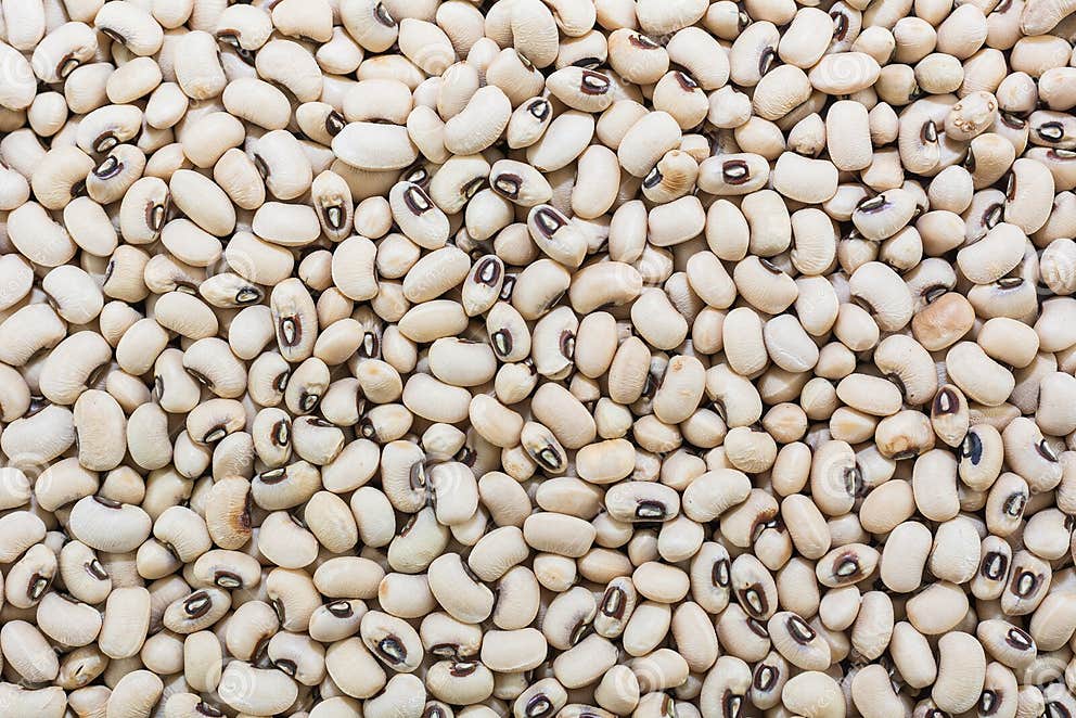 Raw Soybeans in the Background. Stock Photo - Image of natural, food ...