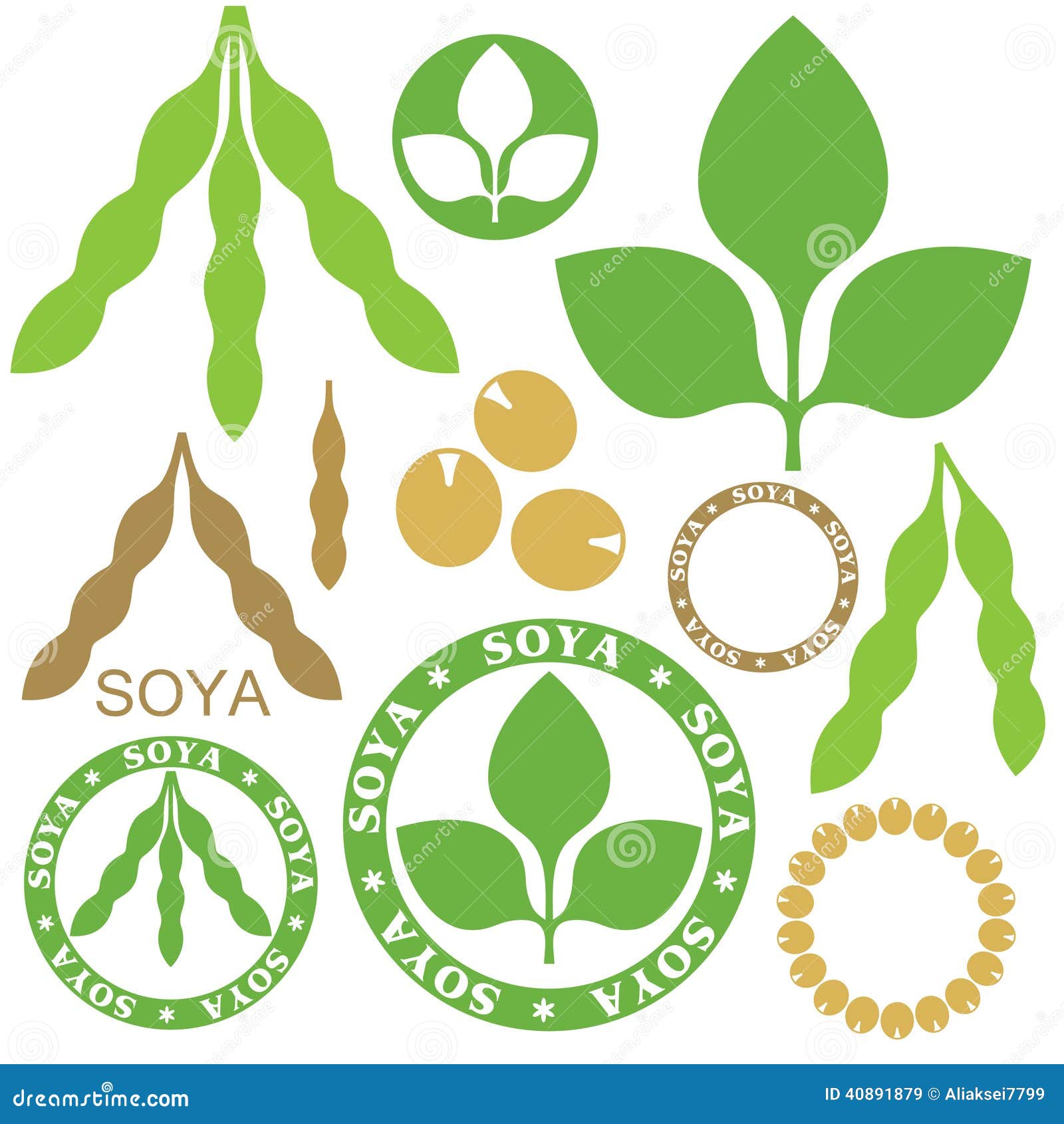 Soybean Icon