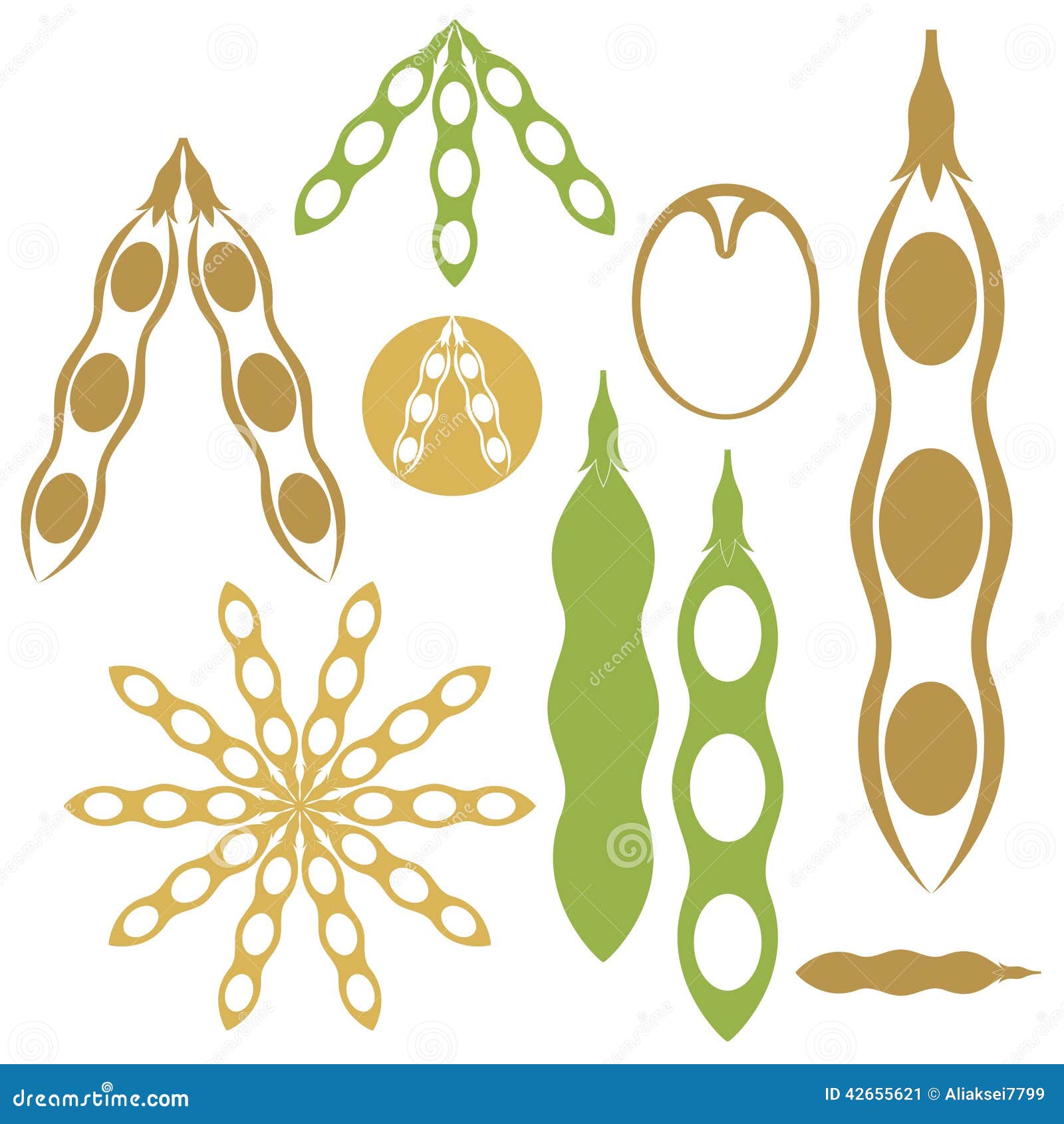 Soybean stock vector. Illustration of soybean, sign, symbol - 42655621