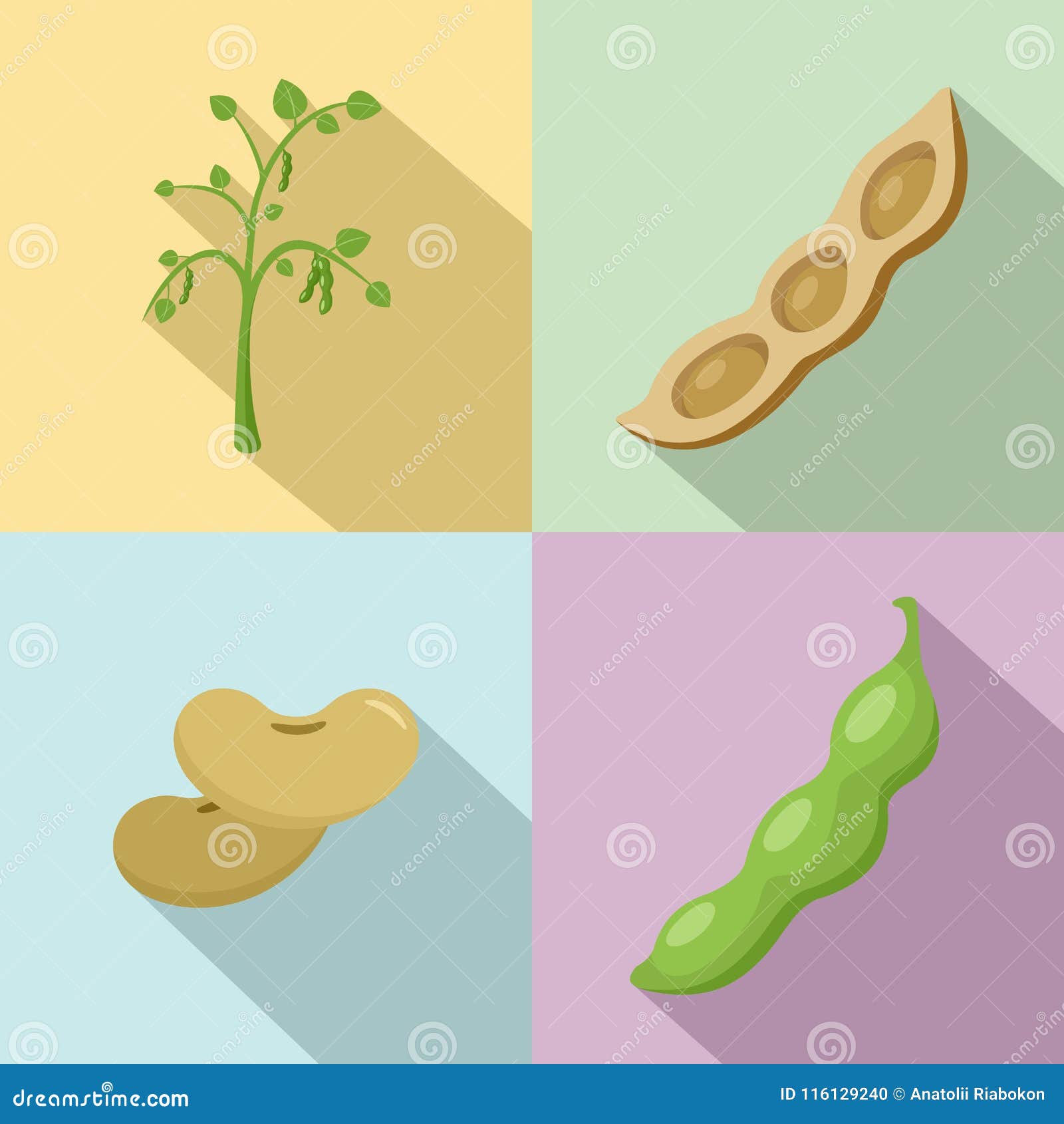 Soybean Soy Beans Seed Icons Set Flat Style Stock Vector - Illustration ...