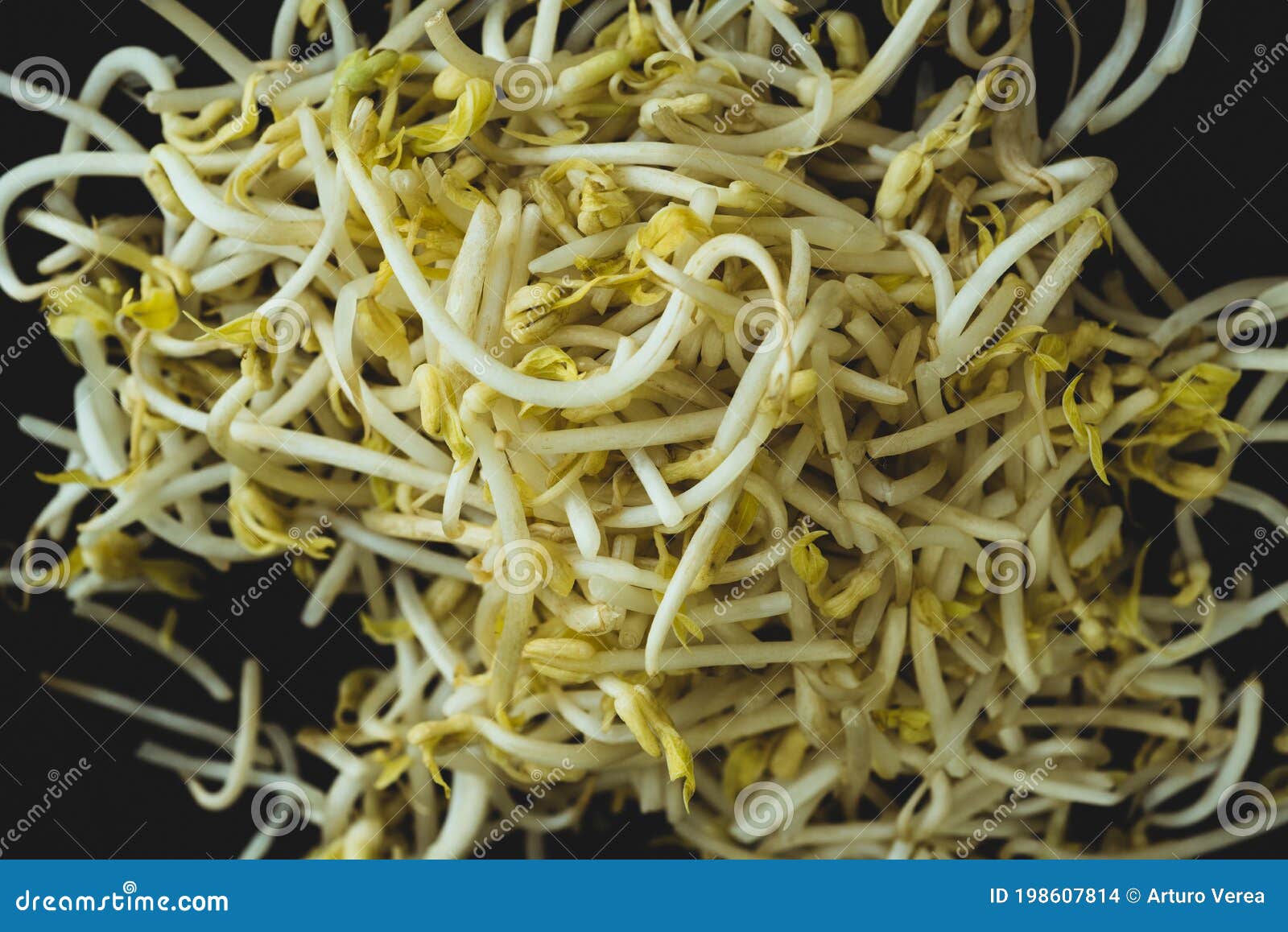 Soybean Sprout Isolated On White Background Royalty-Free Stock ...