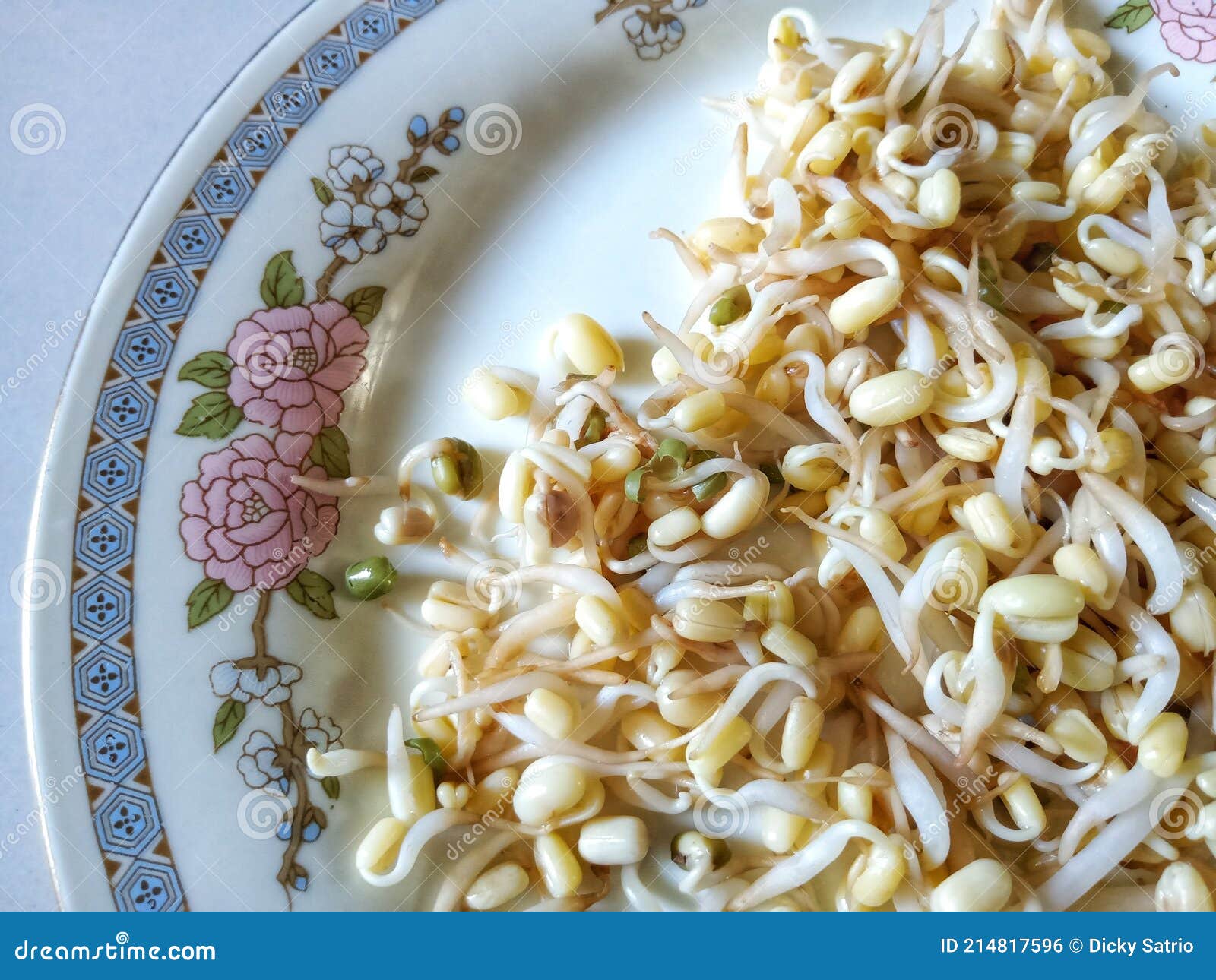 Soybean Sprouts on Plate with White Background Stock Photo - Image of ...