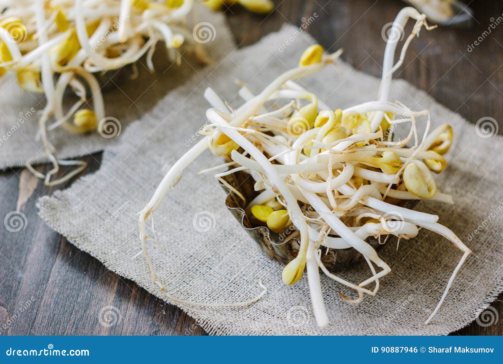 Soybean Sprouts. Table with Soy Bean Sprouts on it. Stock Photo - Image ...