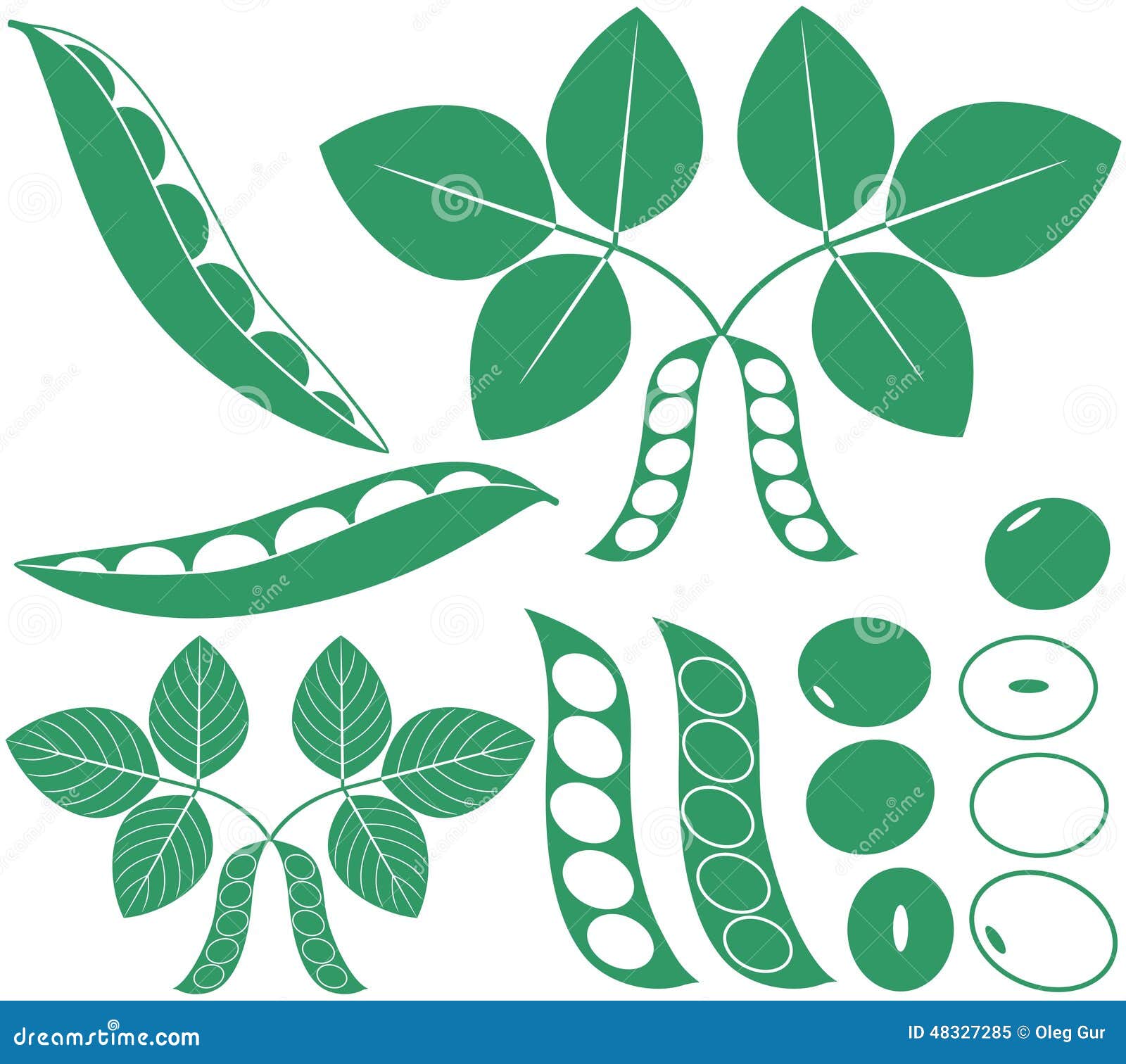 Soybean stock vector. Illustration of abstract, unusual - 48327285