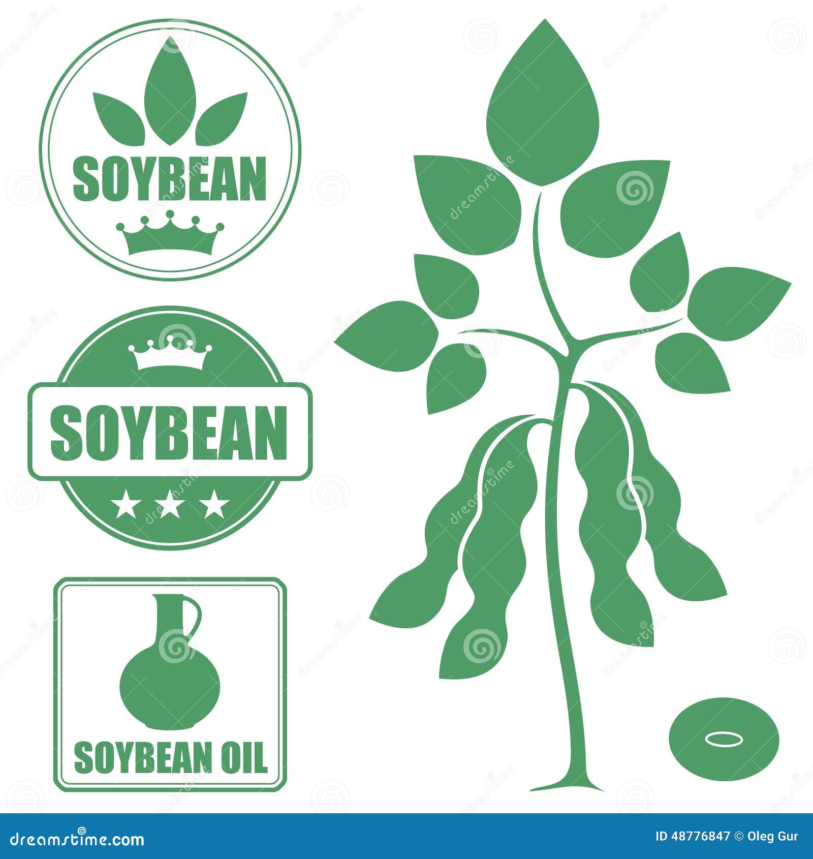 Soybeans Plant Vector