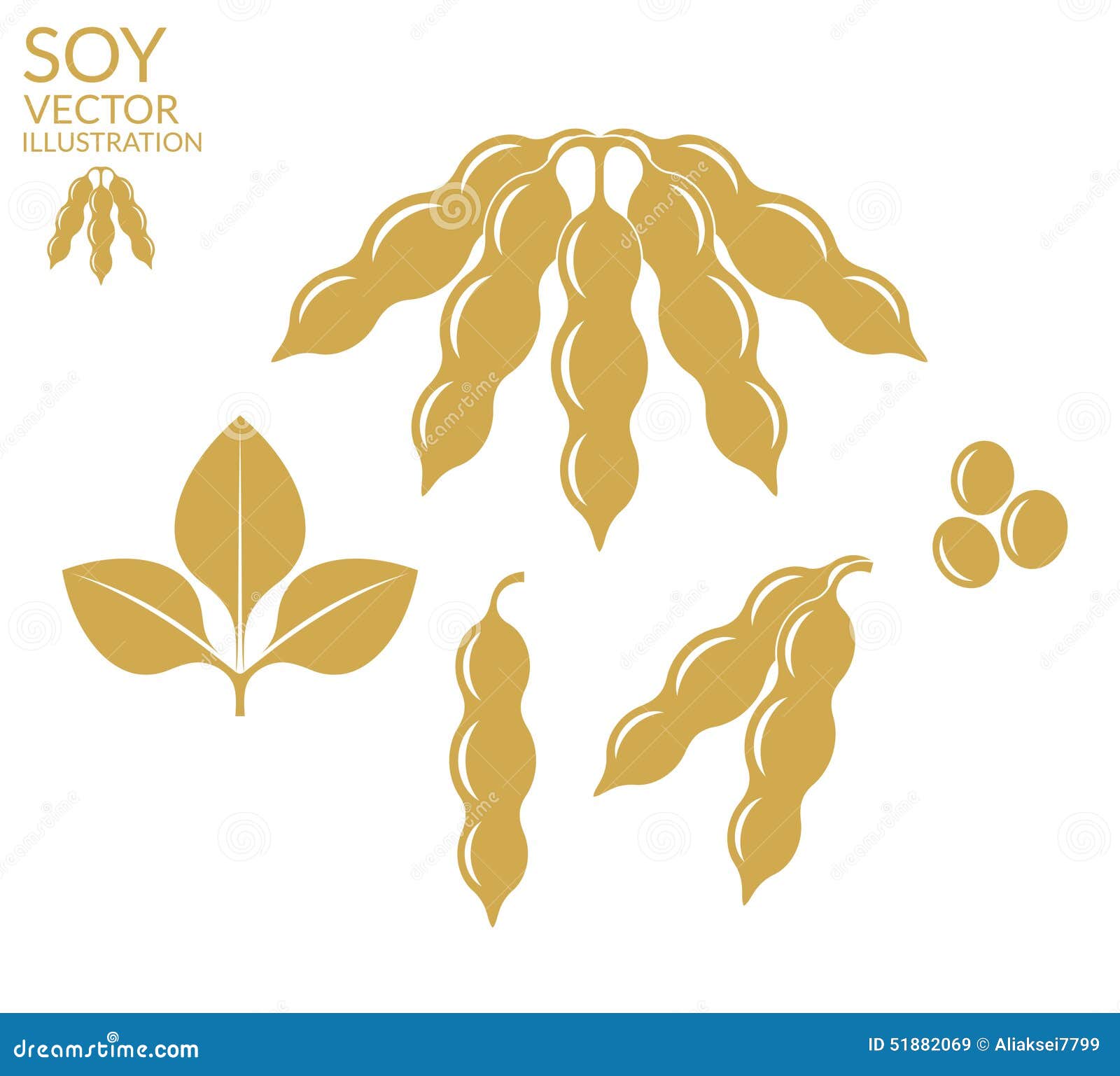 Soybean Cartoon Vector 51882069
