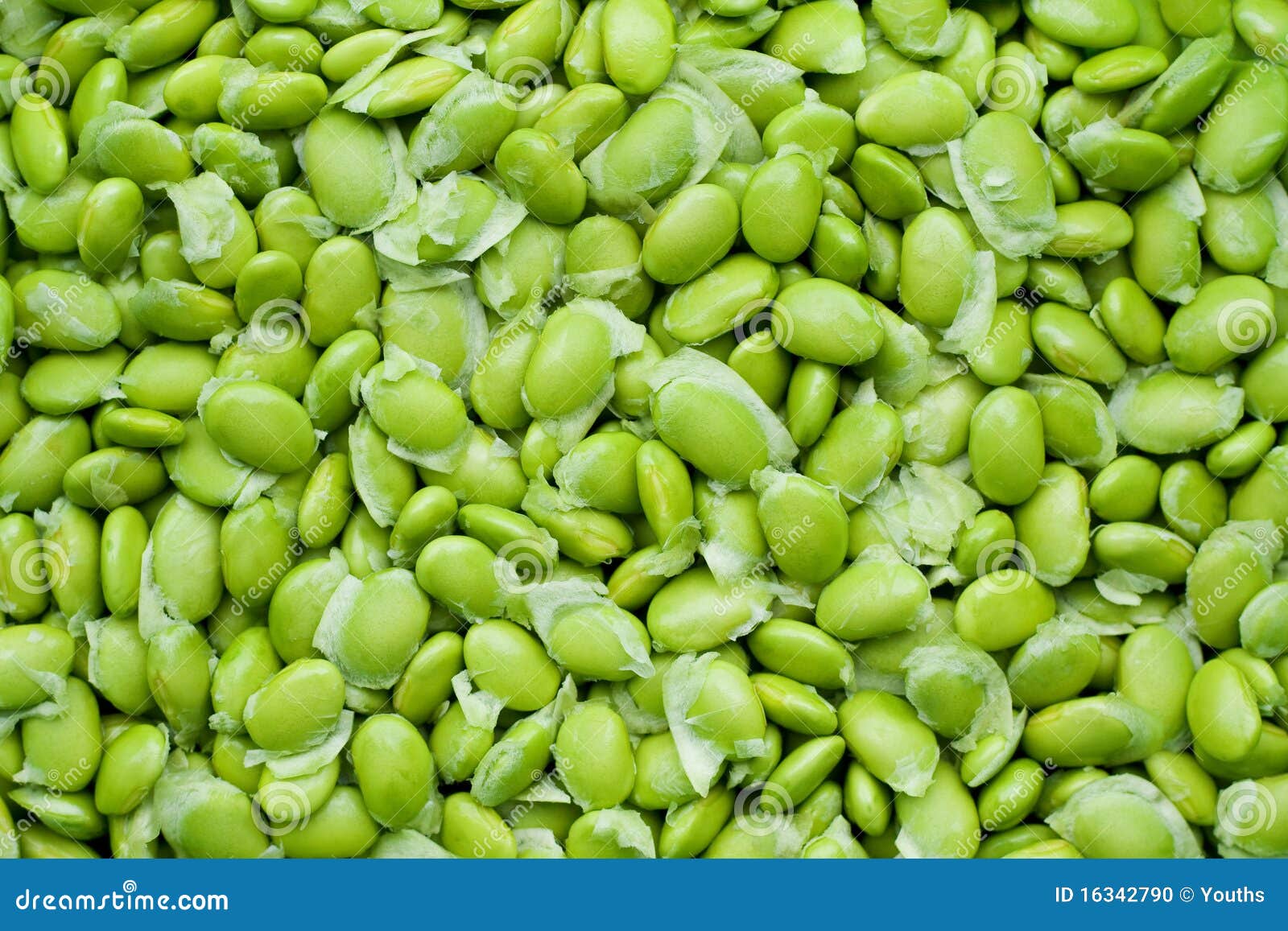Soybeans stock photo. Image of asian, chinese, food, freshness - 16342790