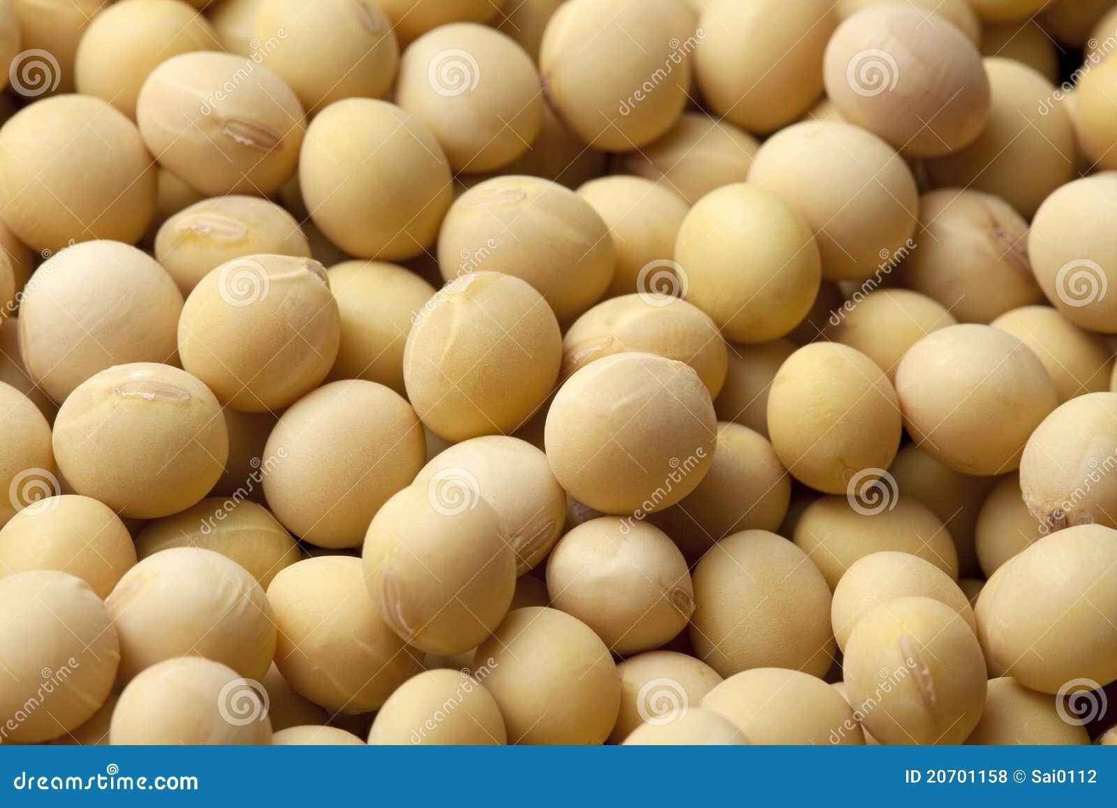 Soybeans stock photo. Image of snack, japanese, protein - 20701158