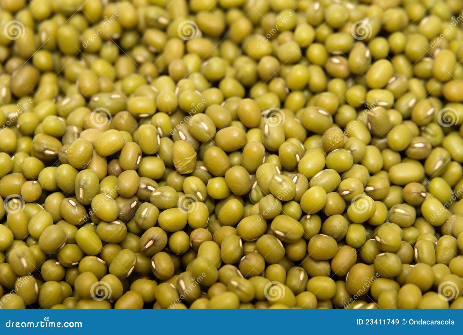 Soybeans stock image. Image of plant, color, packed, vitamin - 23411749