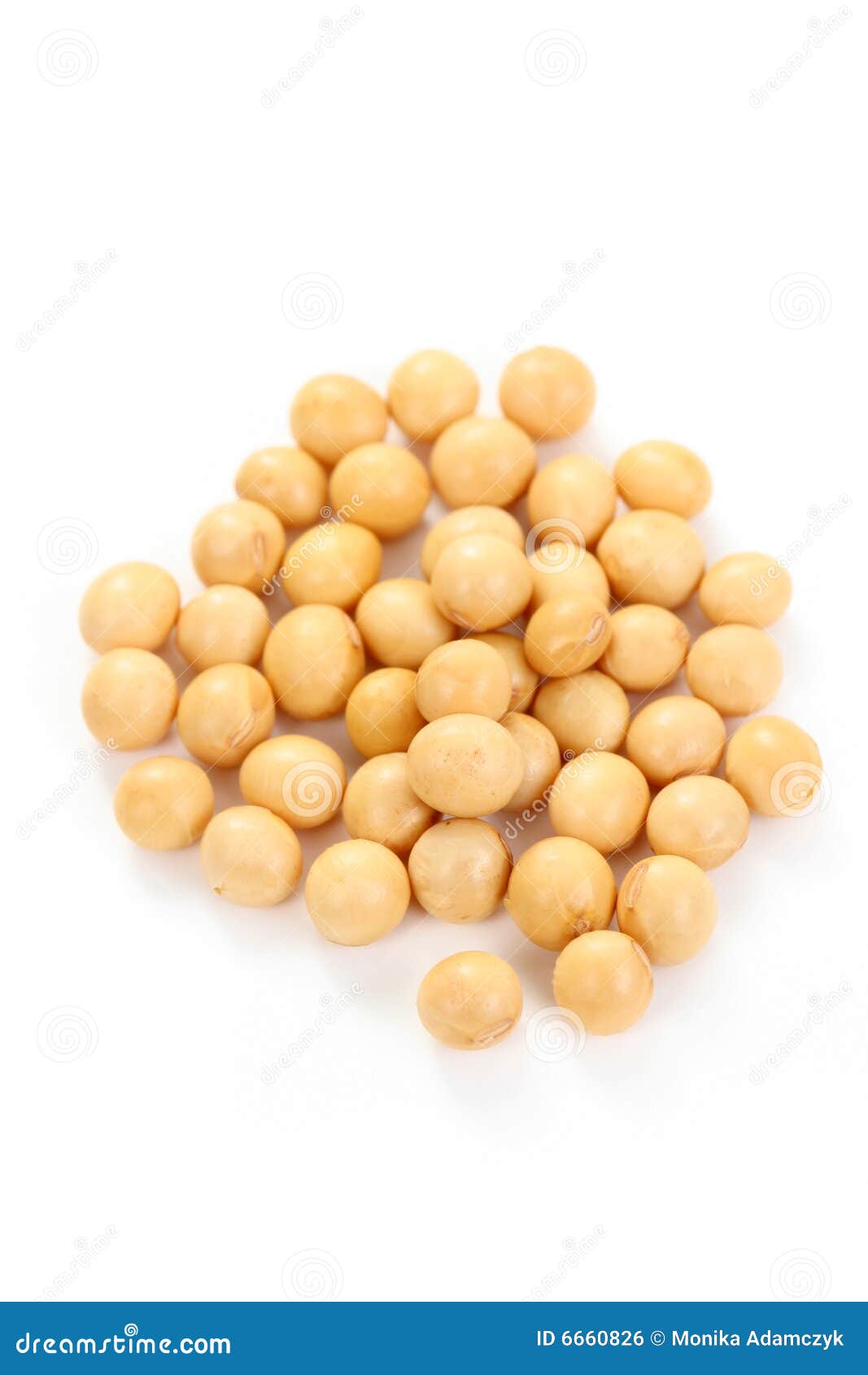 Soybeans stock photo. Image of healthy, isolated, fiber - 6660826