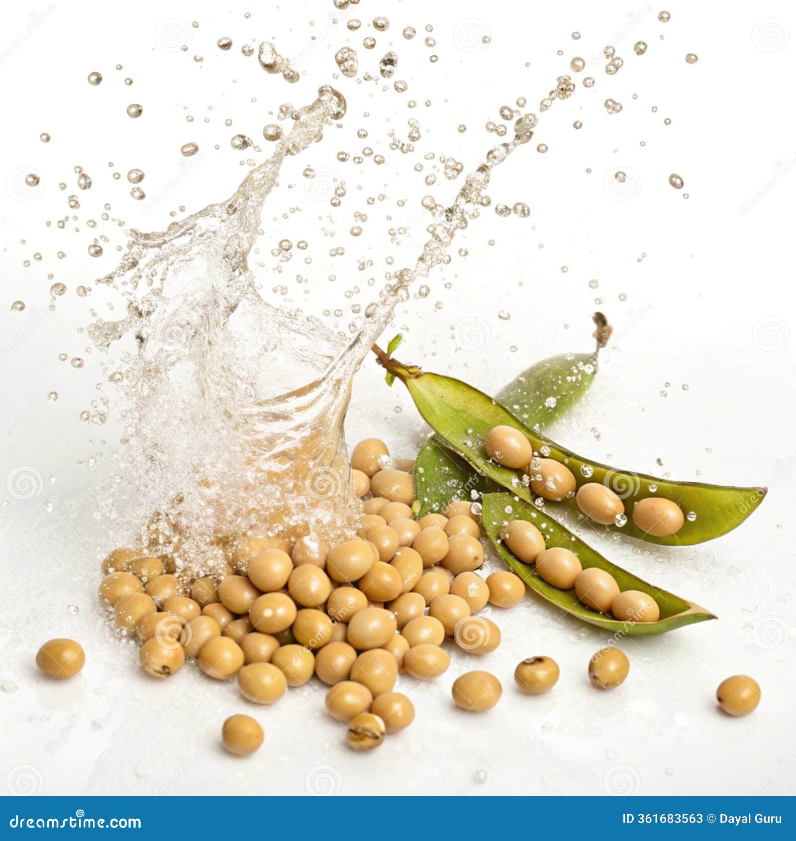 Soybeans Splash Isolated on Transparent Background Stock Illustration ...