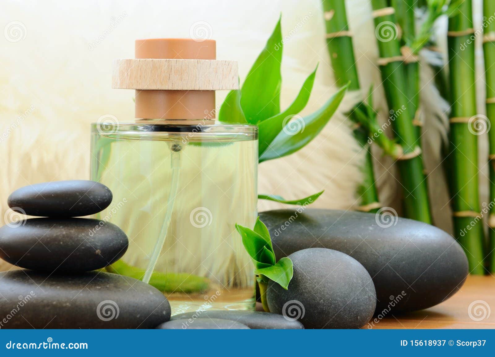 Spa stock image. Image of green, hygiene, branch, composition - 15618937