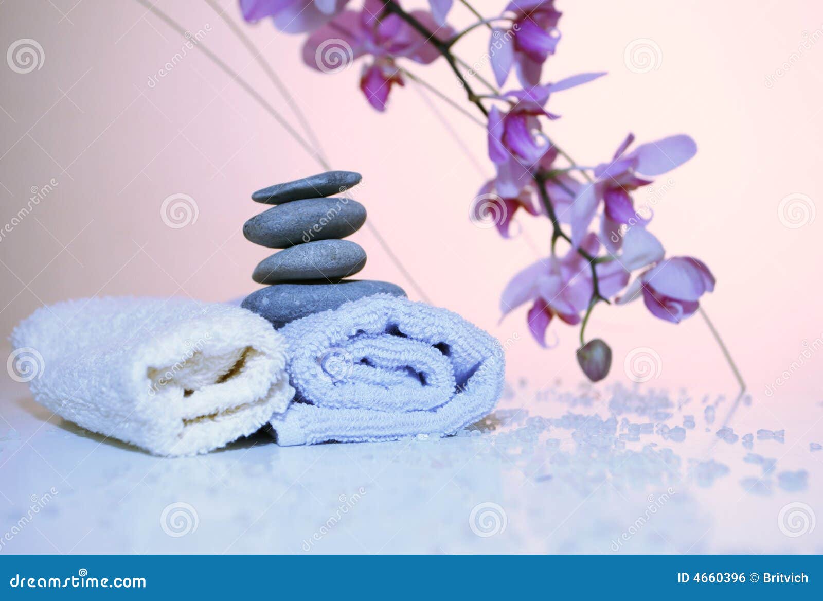 SPA accessories stock photo. Image of ingredients, ampule - 4660396
