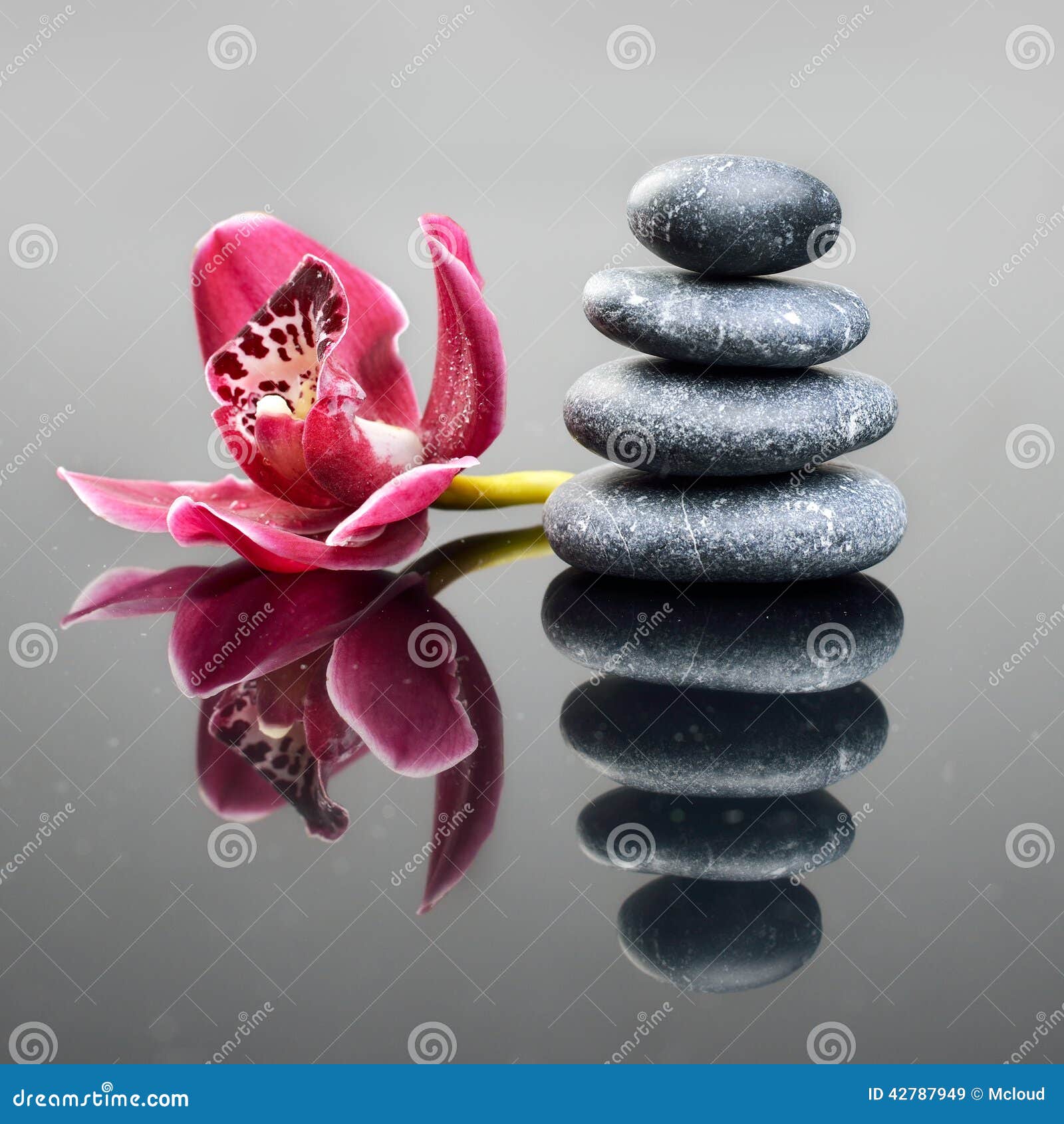 Spa Background with Orchid Flower and Stones Stock Image - Image of ...