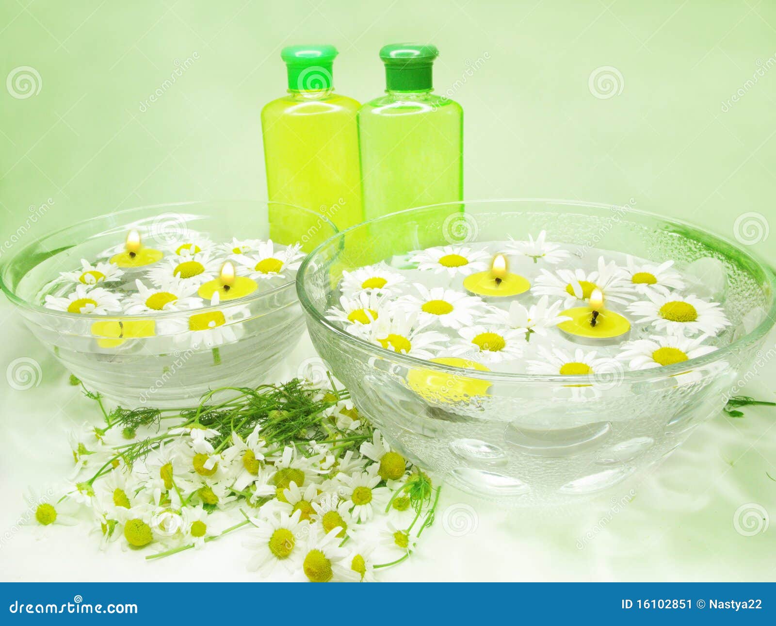 Spa Bowl with Daisy Flowers and Shampoo Gel Stock Image - Image of ...