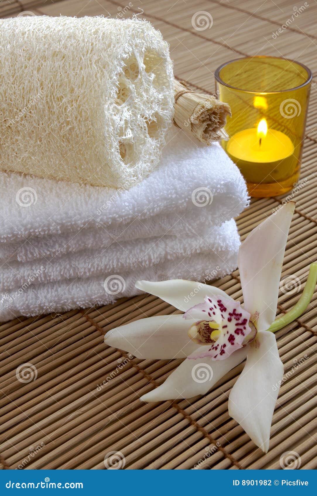 Spa closeup stock photo. Image of fresh, concept, flora - 8901982