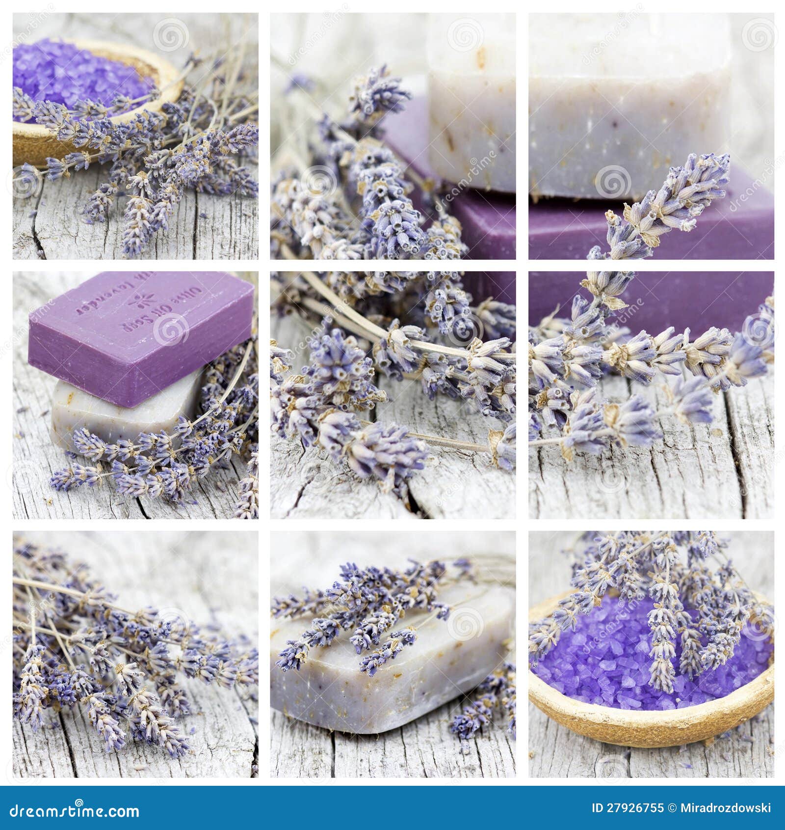 Lavender Collage Stock Photography | CartoonDealer.com #25681004